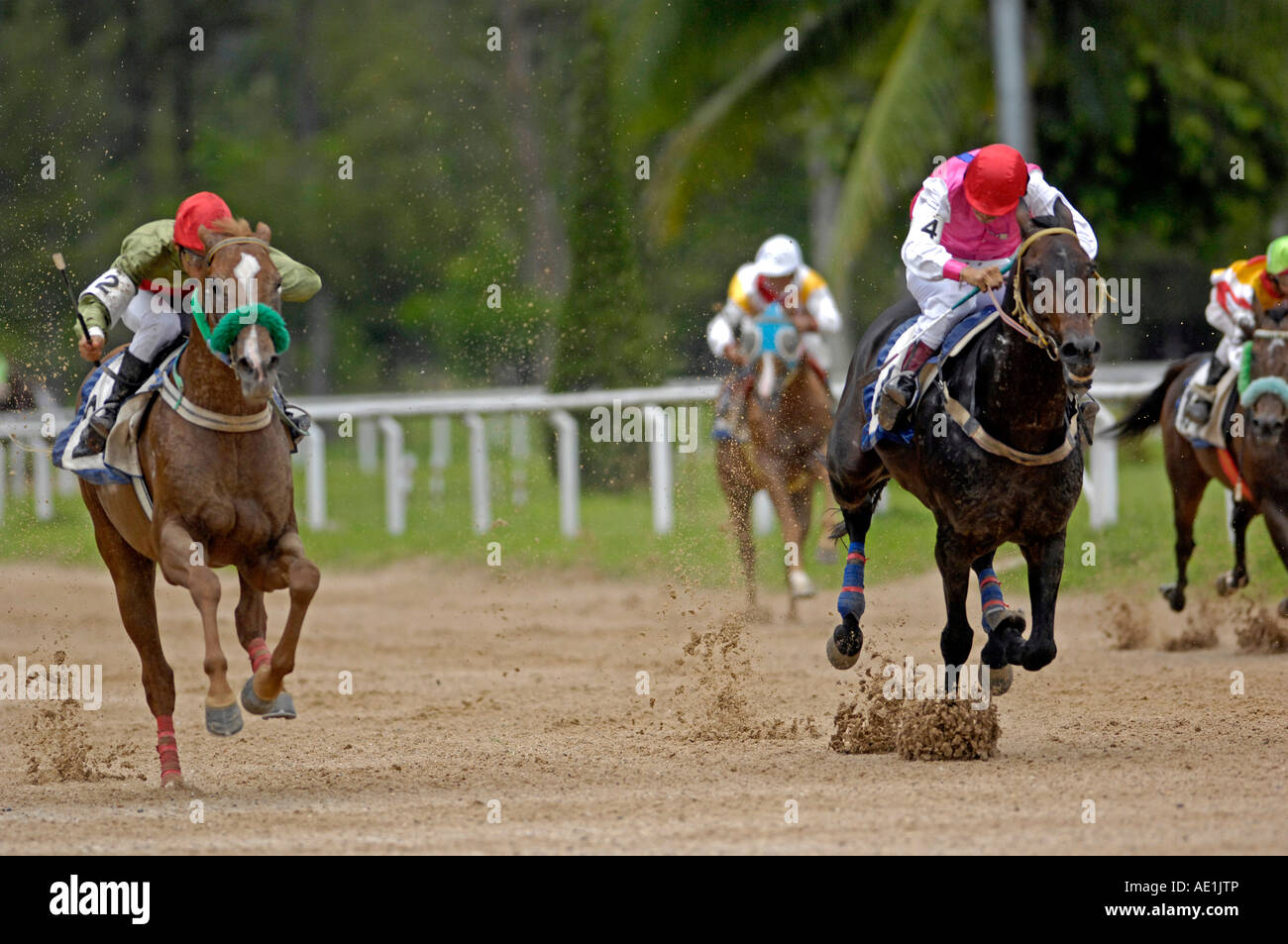 Pic 039 hi-res stock photography and images - Alamy