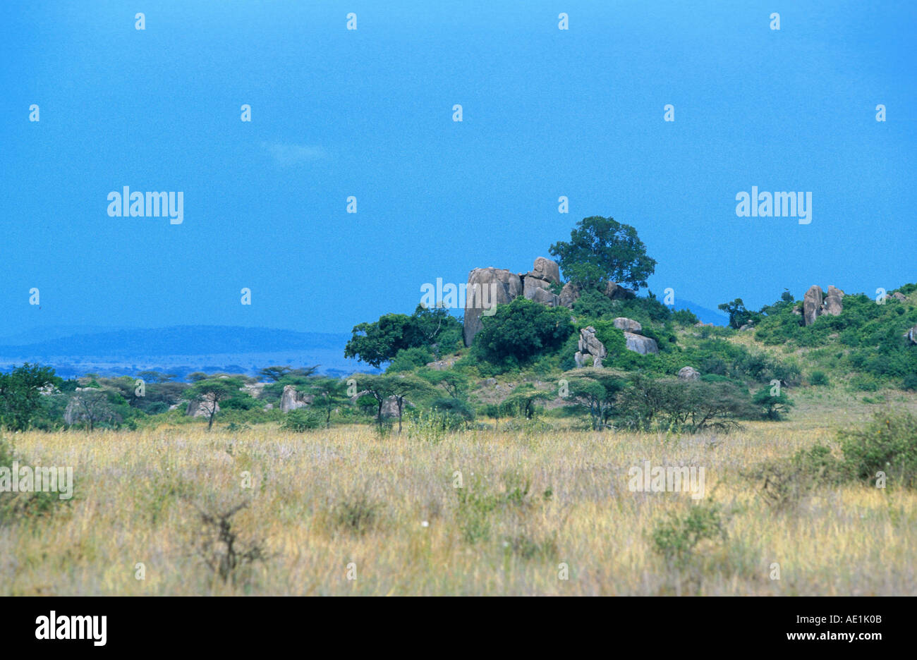 Kopjes hi-res stock photography and images - Alamy