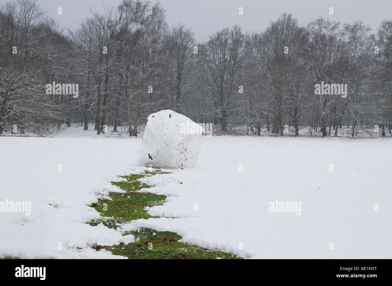 Snowball trail hi-res stock photography and images - Alamy
