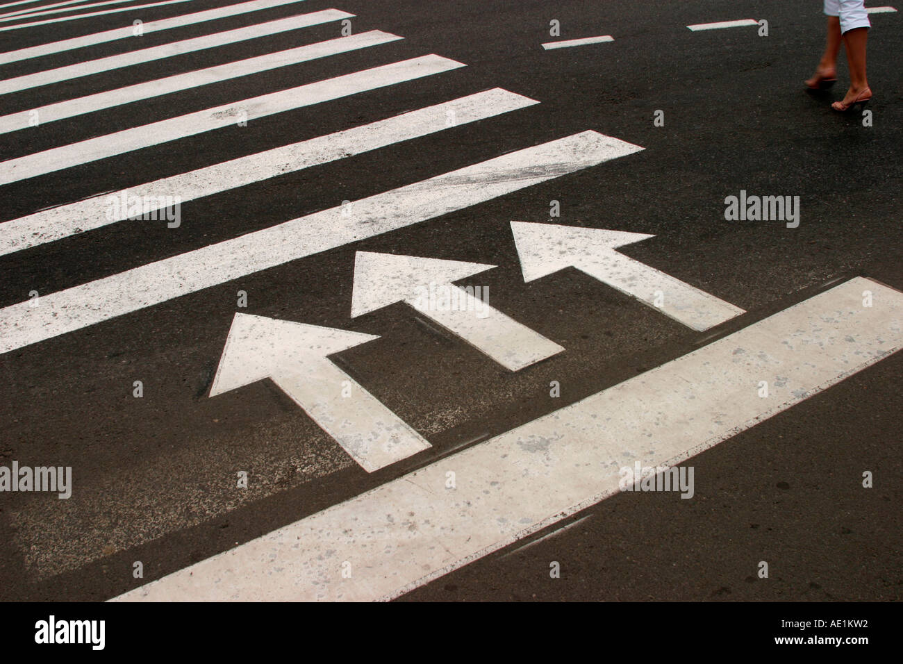 Zebra Crossing With Arrows in St Petersburg Russia Stock Photo - Alamy