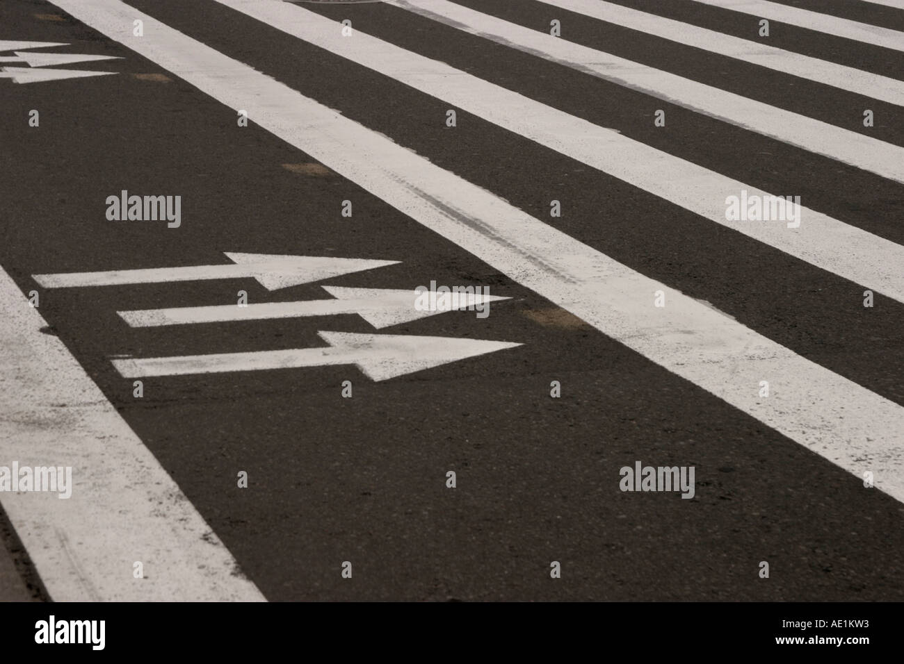 Zebra Crossing With Arrows in St Petersburg Russia Stock Photo - Alamy