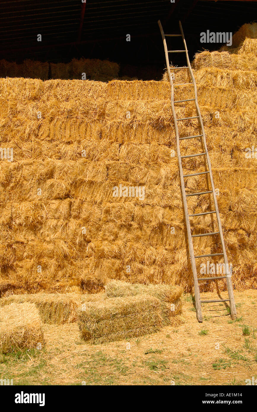 Chris hay hi-res stock photography and images - Alamy