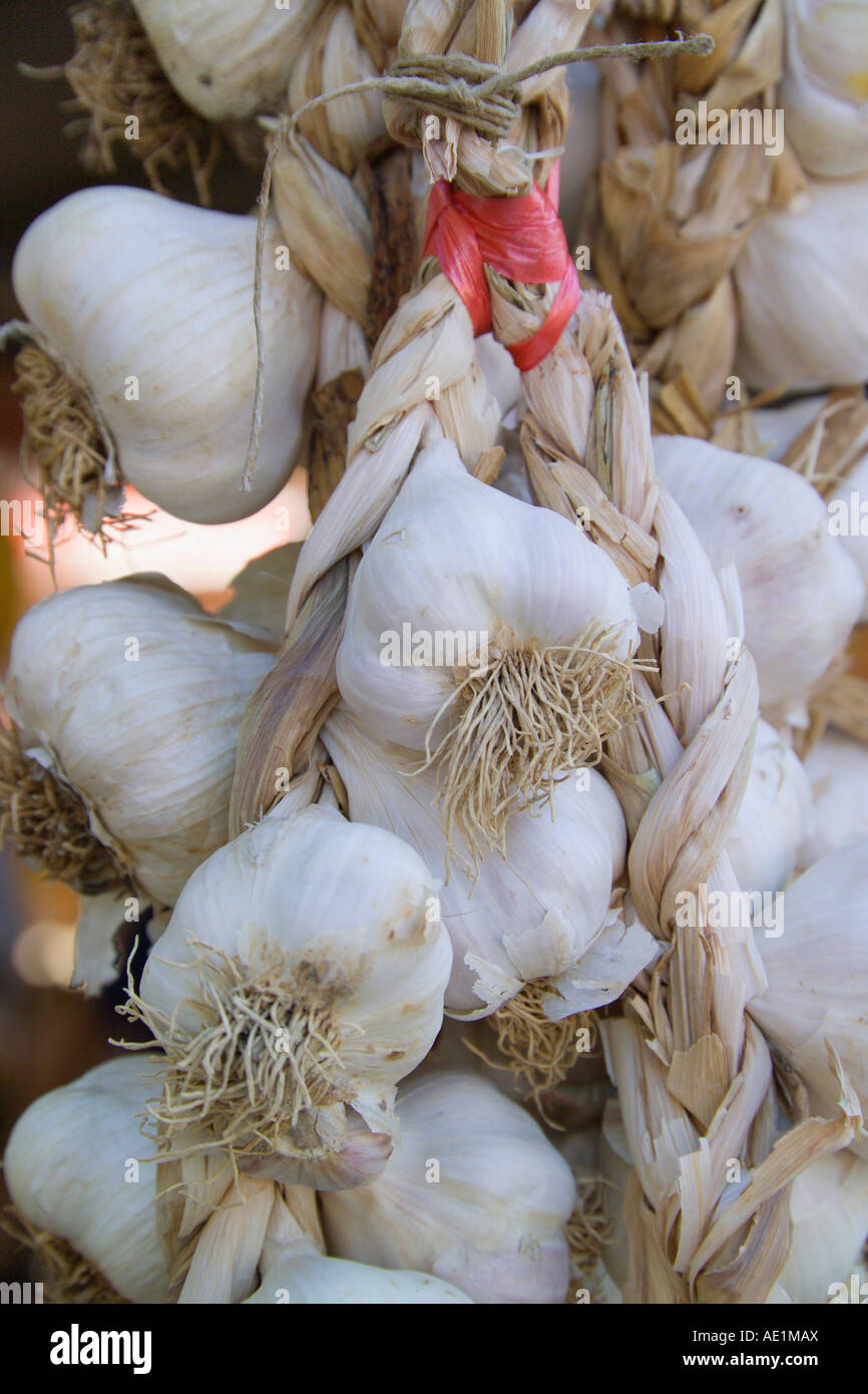 Strings of garlic Stock Photo - Alamy