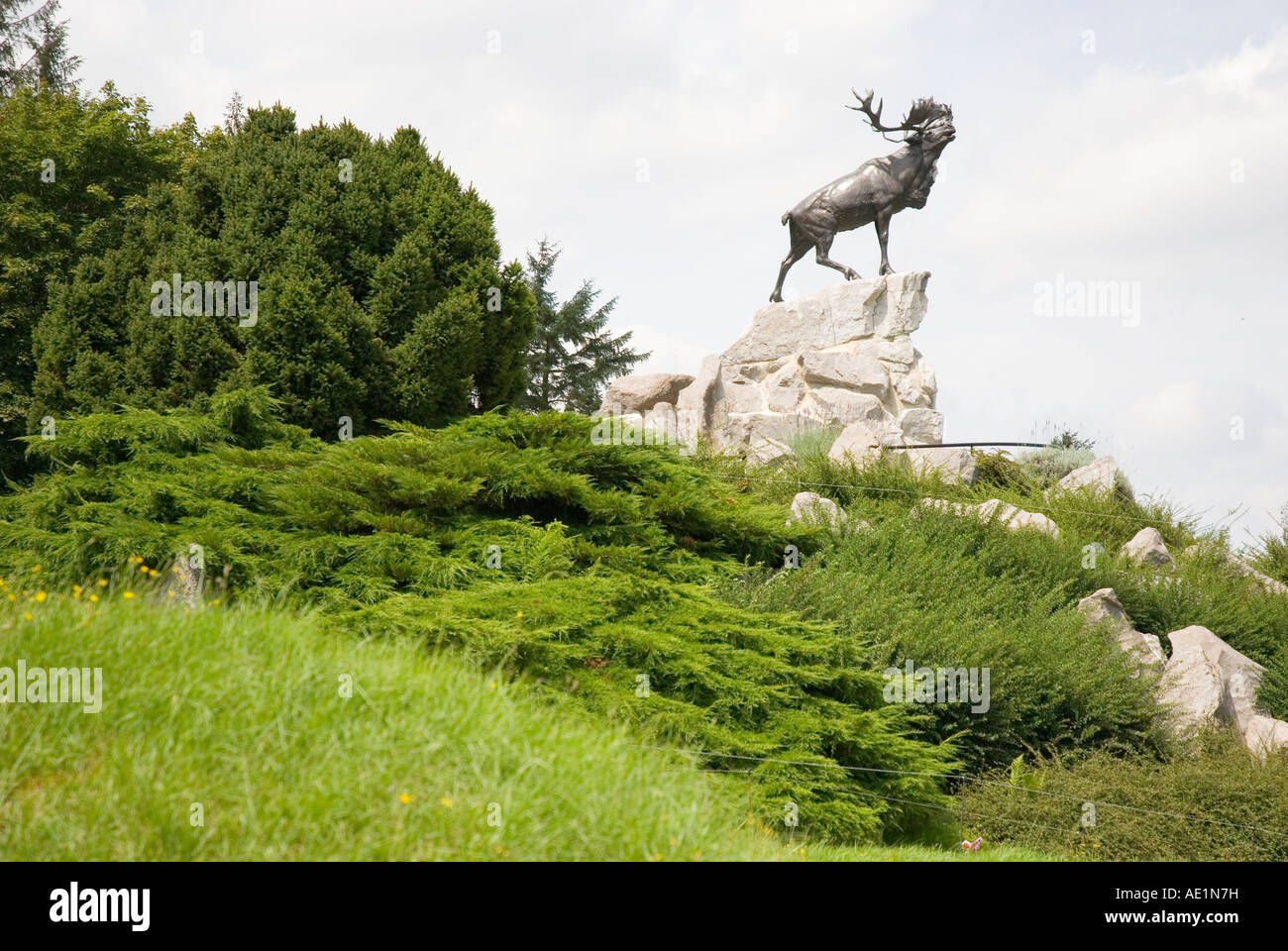 Bronze caribou, the emblem of the Newfoundland Regiment Stock Photo - Alamy