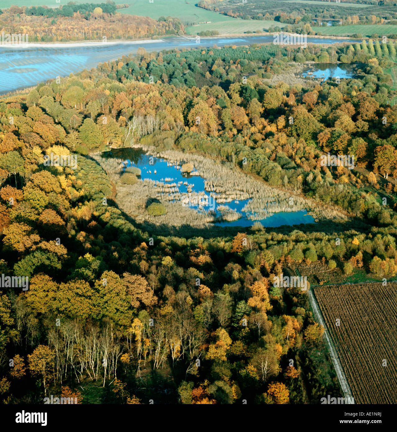 Etang en sologne automne photo aerienne centre de la france hi-res ...