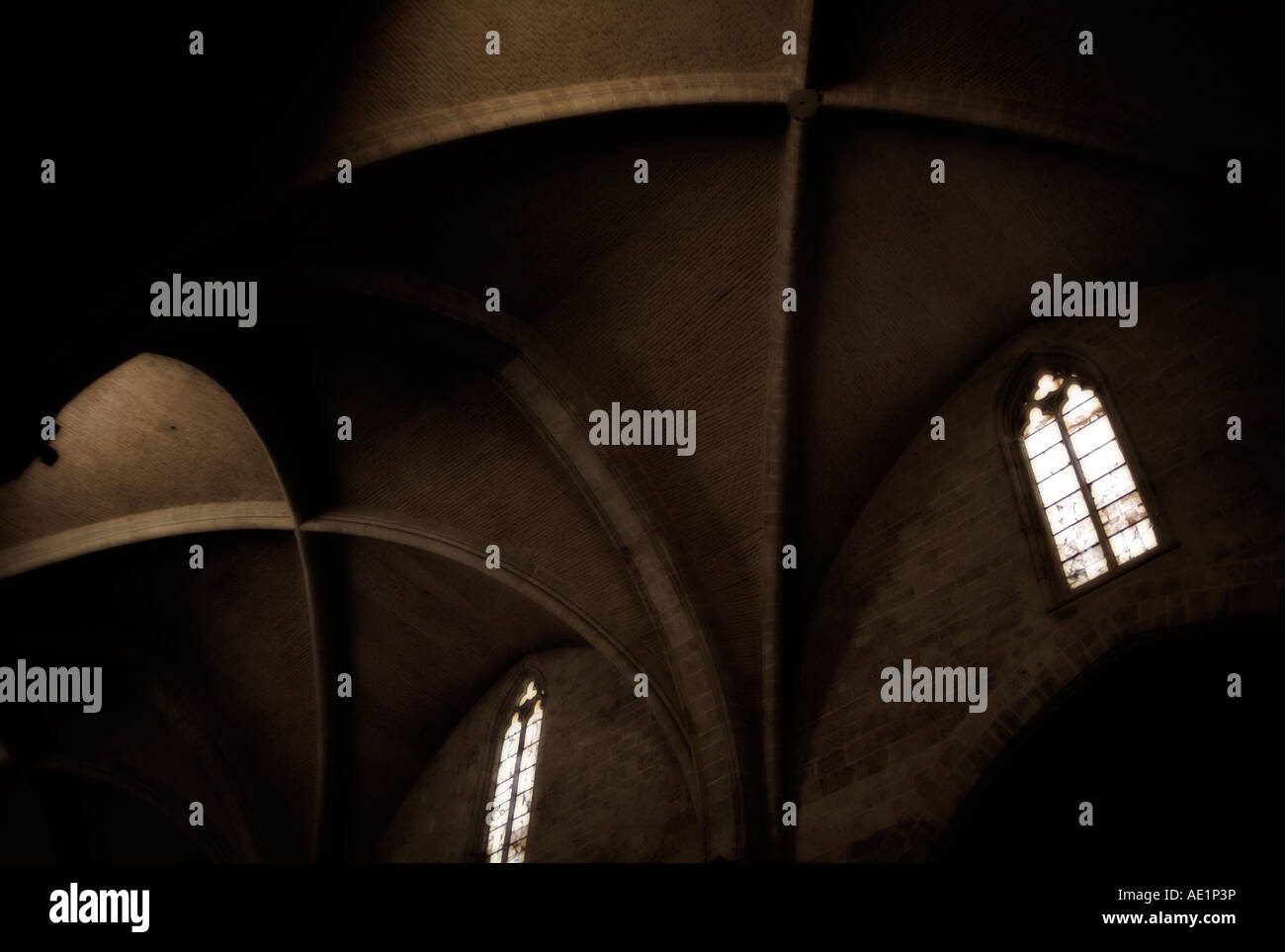 Gothic vault. Cathedral of Valencia. Spain Stock Photo - Alamy