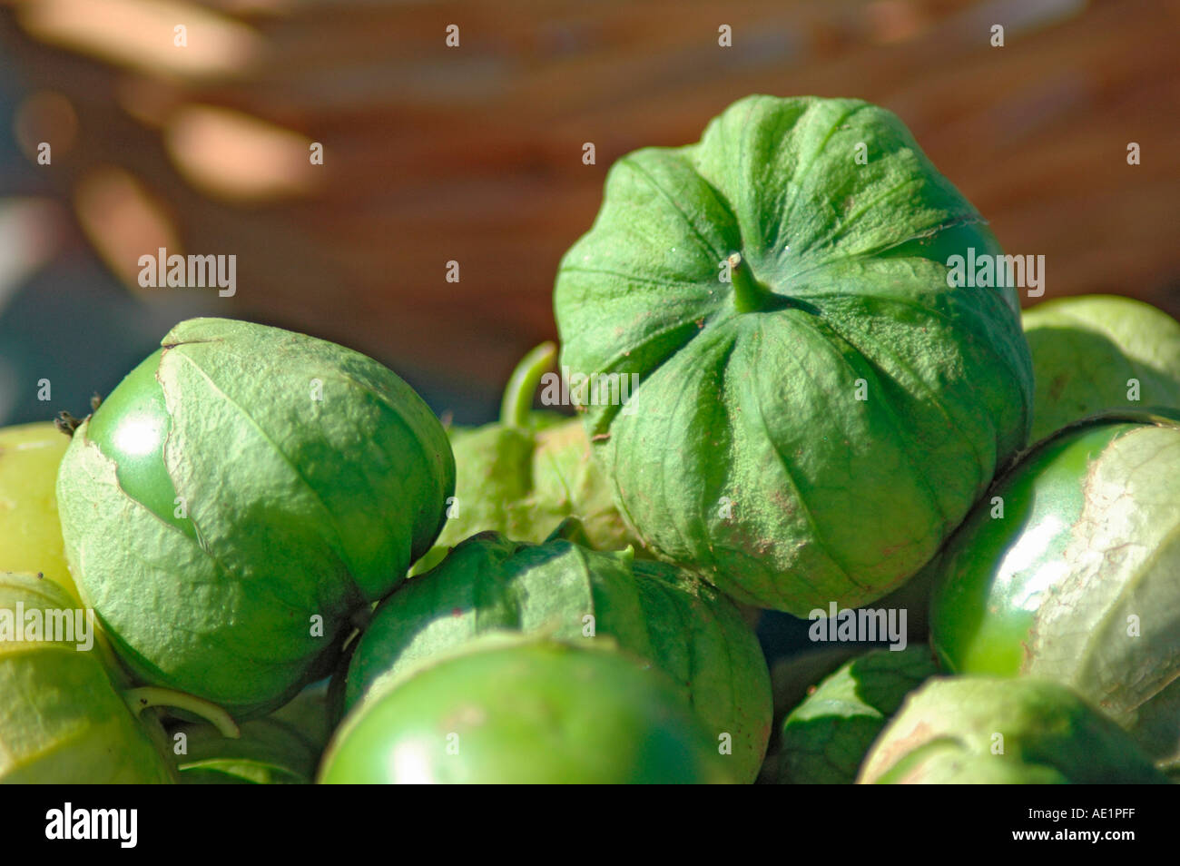 Mexican Tomatoes Tomateos for sale at master gardners farmers market ...