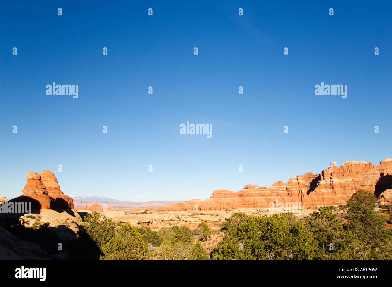 USA Utah Canyonlands National Park Cedar Mesa Sandstone Spires in the ...