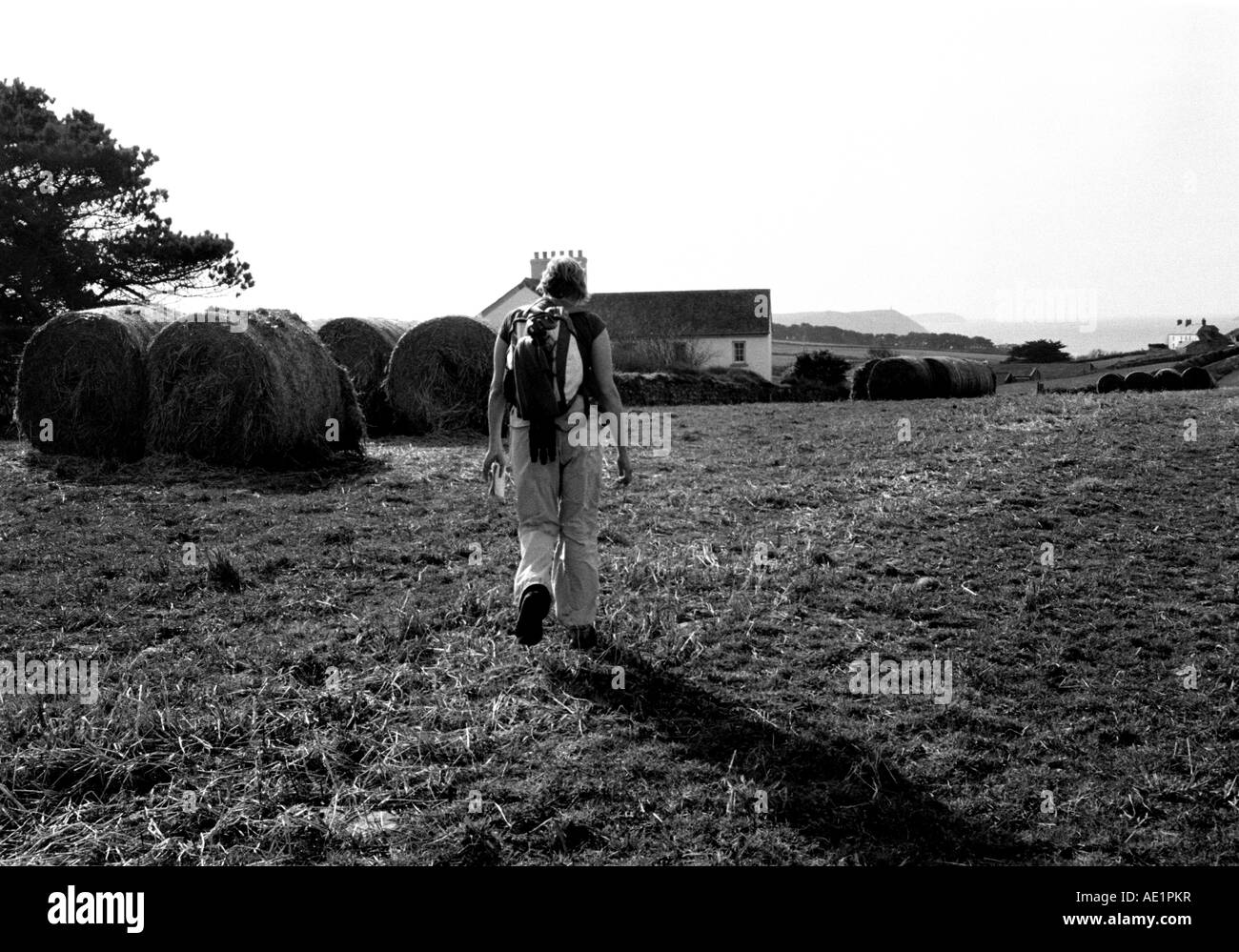 A rambler crosses a field with hay bales towards Polzeath Cornwall ...