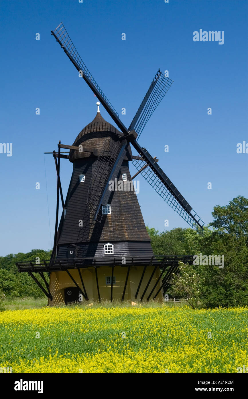 Old Dutch type windmill Frilandsmuseet Zealand Denmark Stock Photo - Alamy
