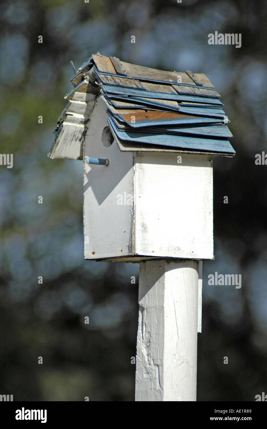 Bird house gourds hi-res stock photography and images - Alamy