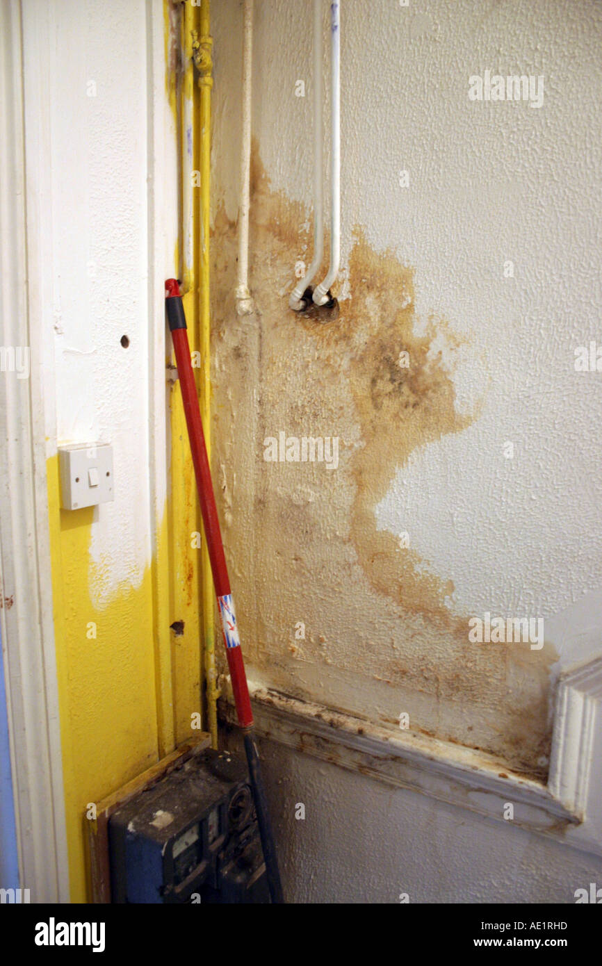 damp wall in neglected building Stock Photo - Alamy