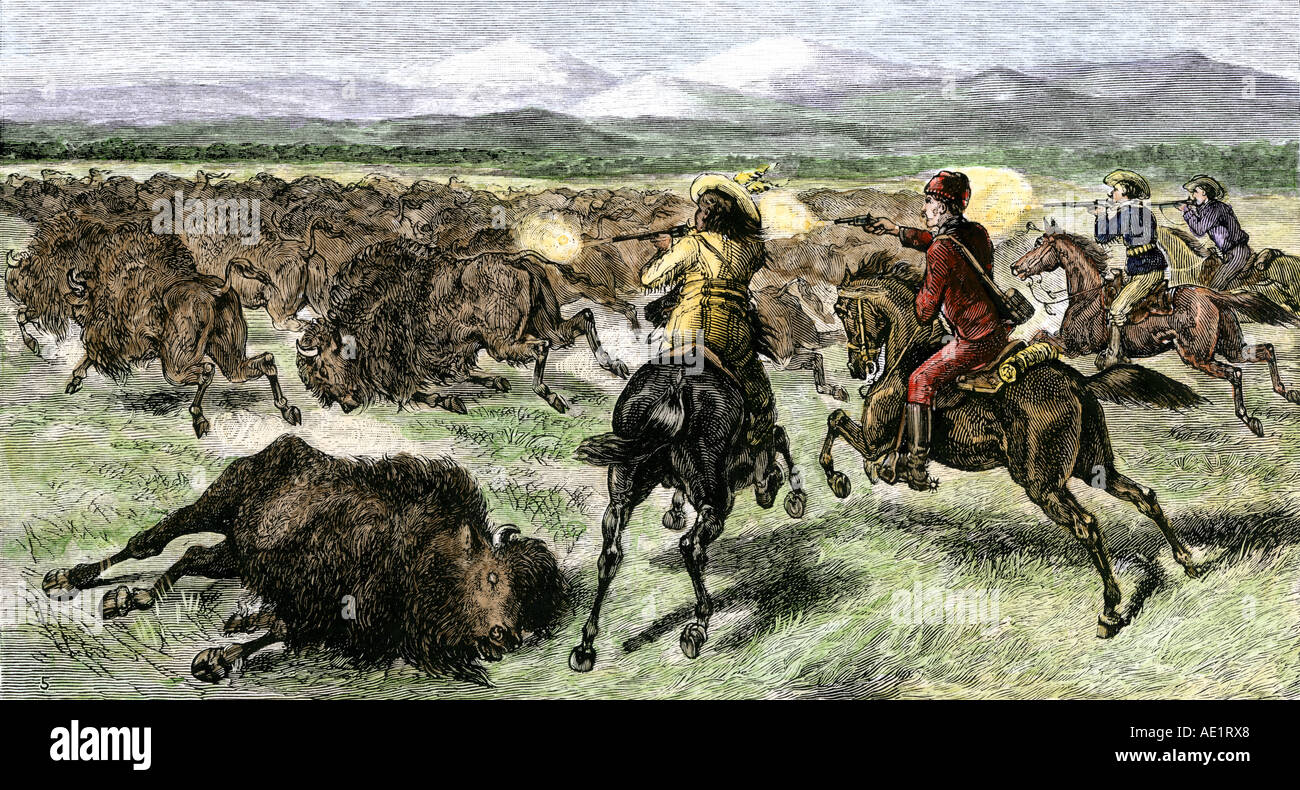 Native american hunting bison High Resolution Stock Photography and ...