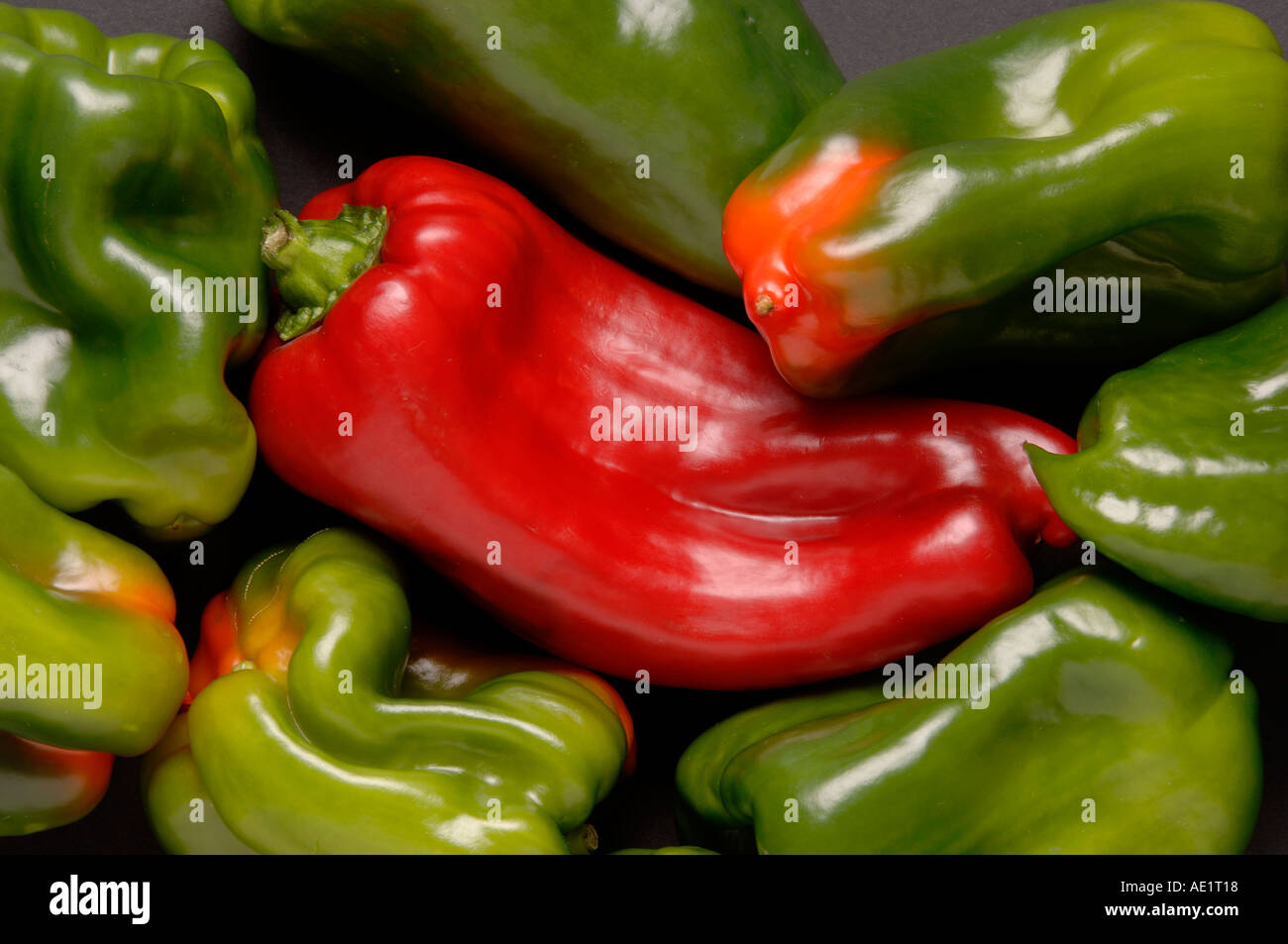 still life of red and green pepper Stock Photo - Alamy