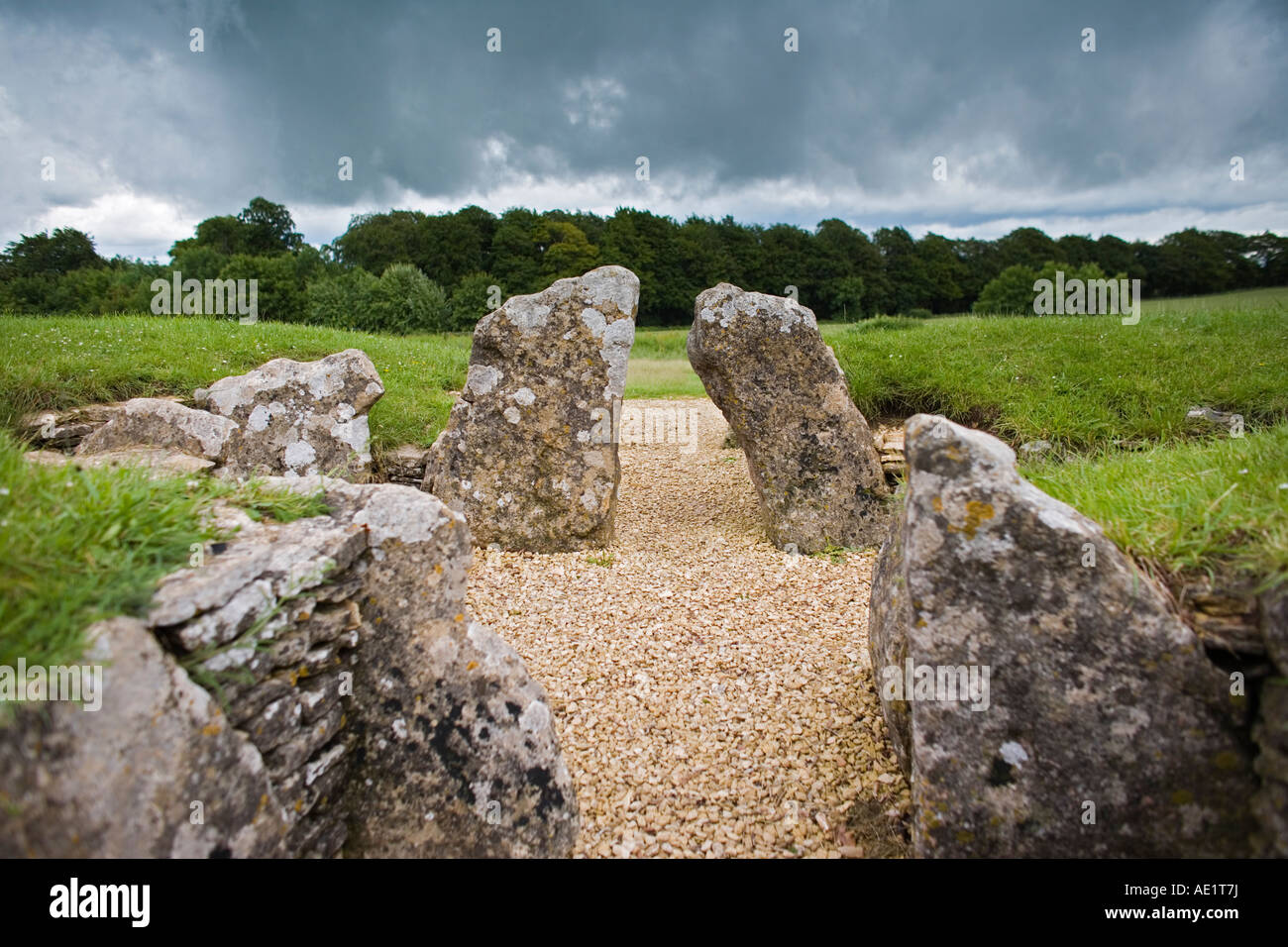 Nympsfield long barrow prehistoric burial chamber, a prehistoric burial ...