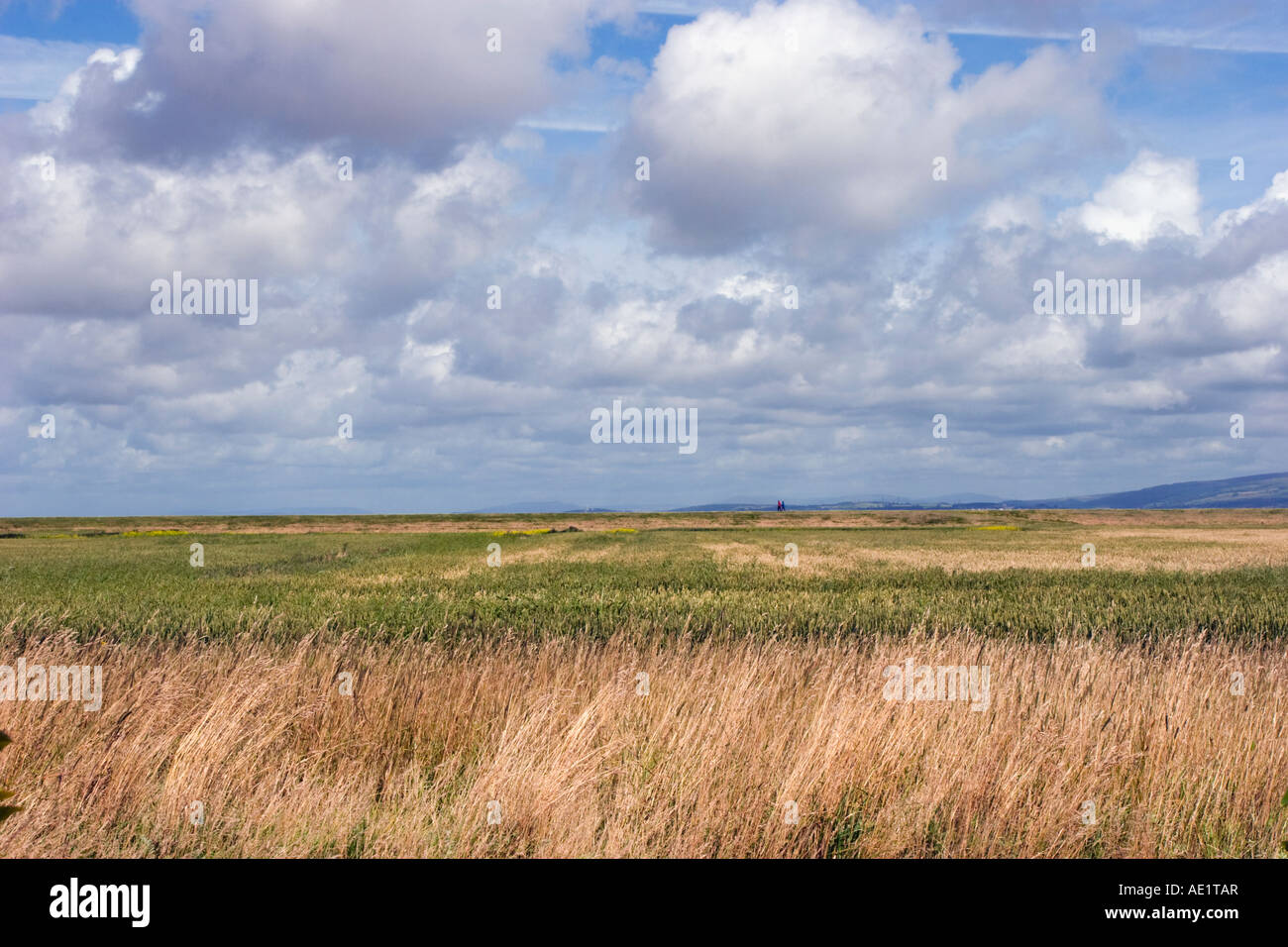 Pilling lancashire hi-res stock photography and images - Alamy