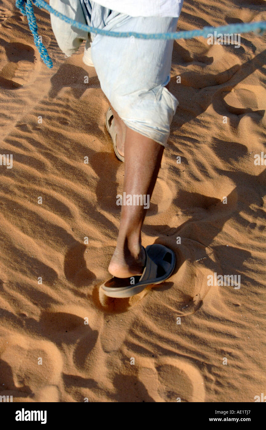 A Mauritanian camel herder leading his camel Stock Photo - Alamy
