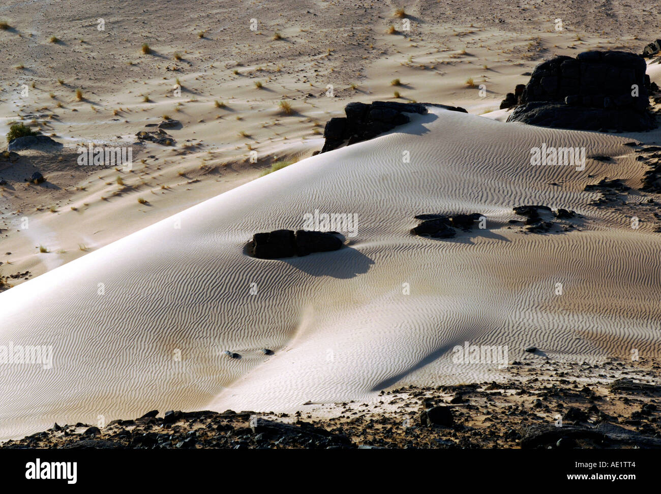 Desert scenes at dusk in Mauritania Stock Photo - Alamy