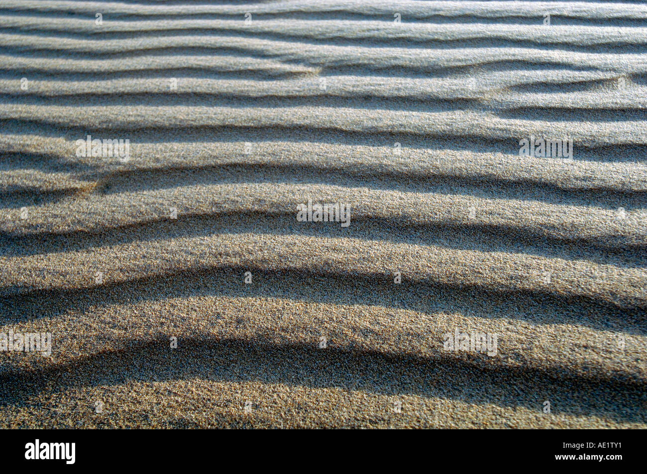 Desert patterns in the Mauritanian desert Stock Photo - Alamy