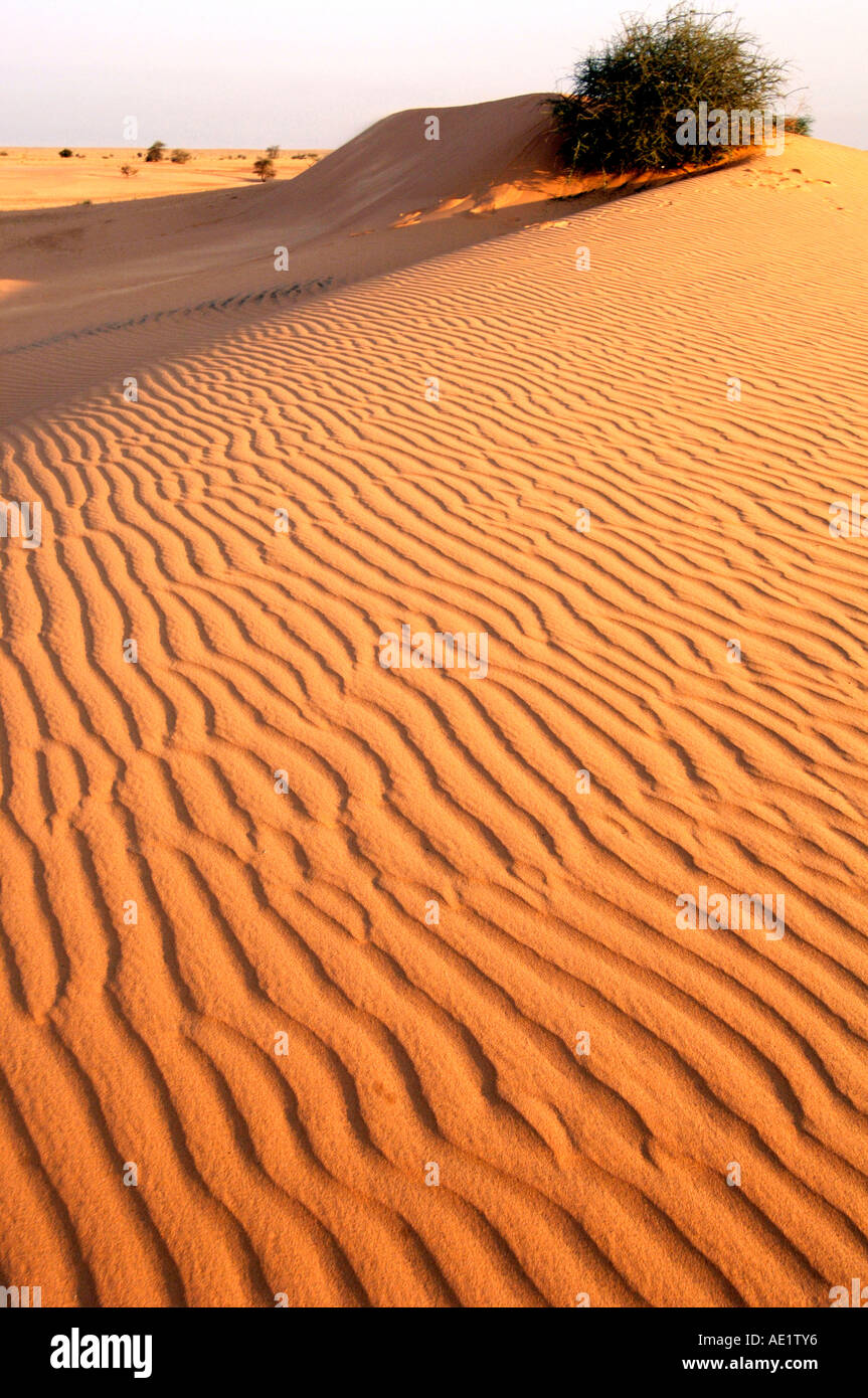 Desert patterns in the Mauritanian desert Stock Photo - Alamy