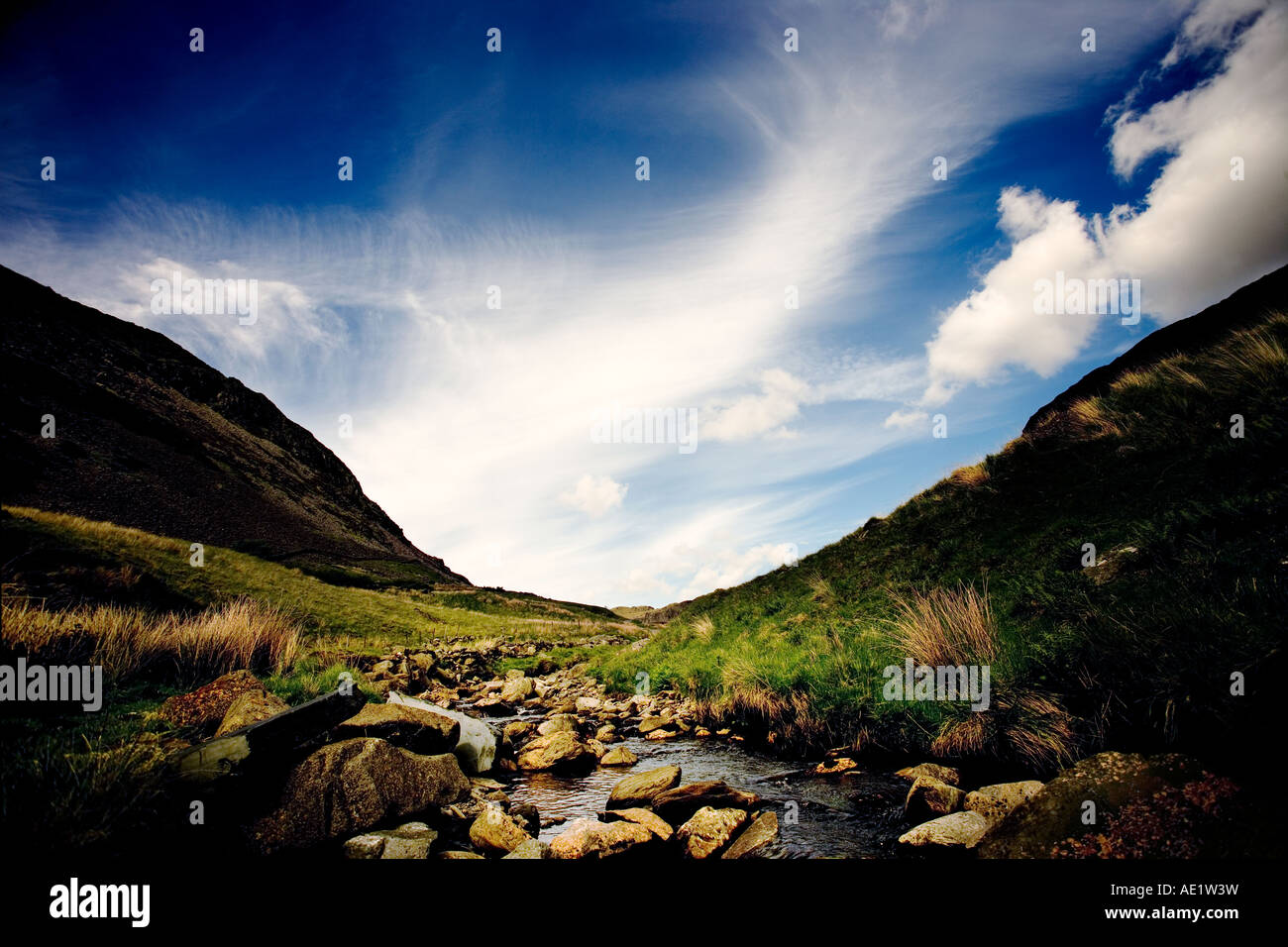 Tufty grass hi-res stock photography and images - Alamy