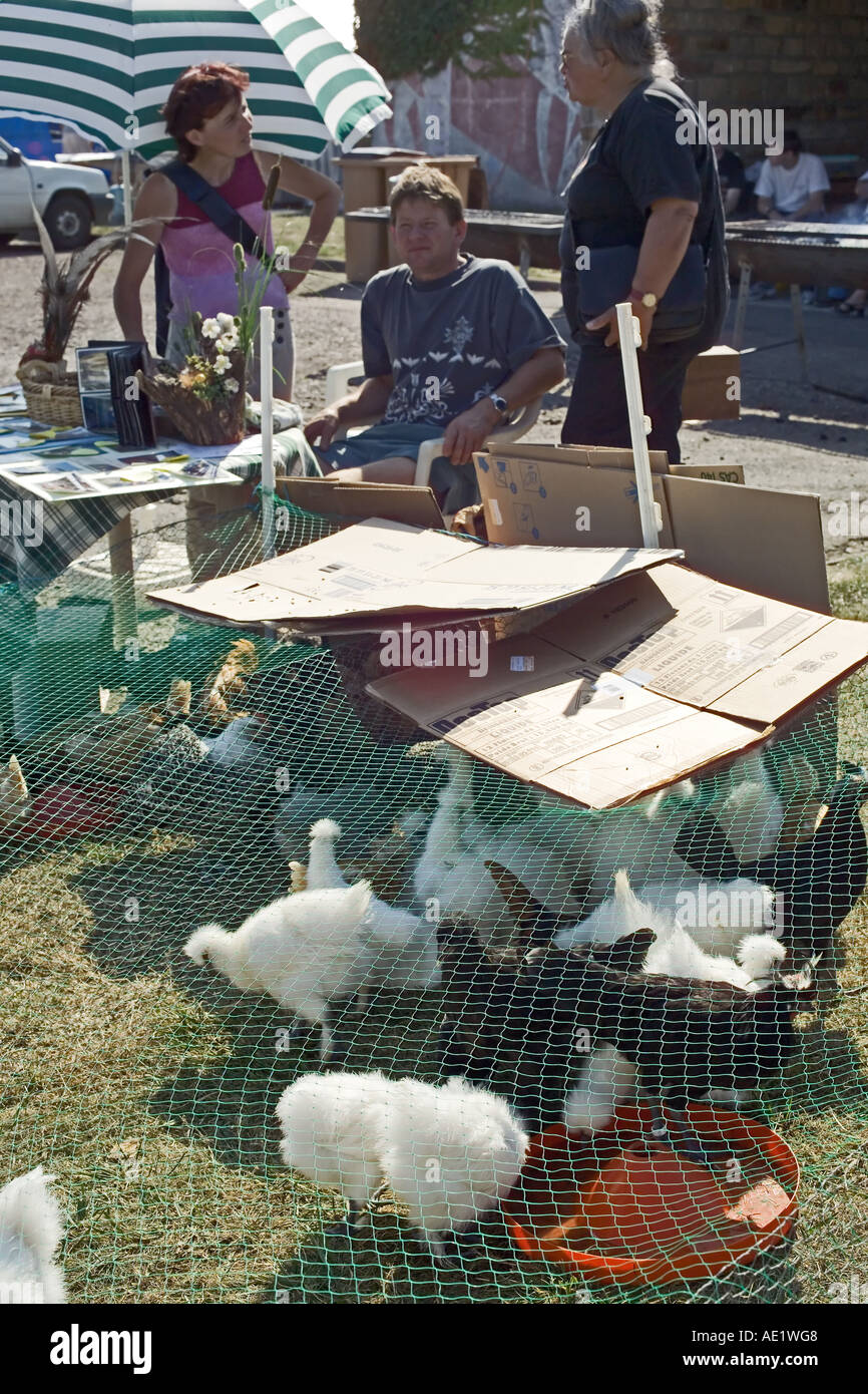 FARMYARD POULTRY FOR SALE AT ANNUAL LIVESTOCK MARKET PLOUBALAY BRITTANY ...