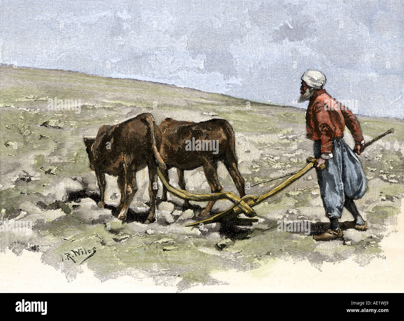 Ox drawn plough hi-res stock photography and images - Alamy