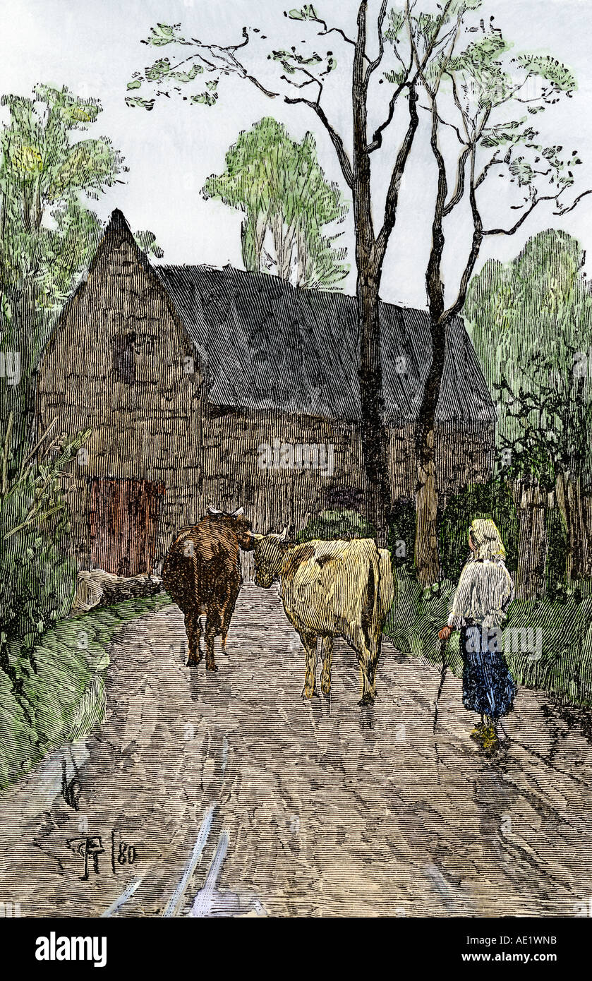 Colonial Farmer Painting