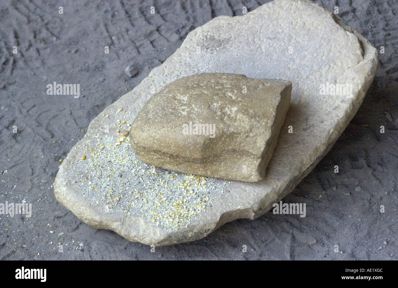Anasazi metate y mano a stone for grinding maize at Mesa Verde National ...