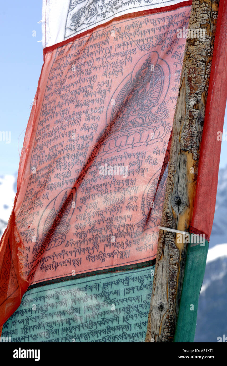 Flutter board hi-res stock photography and images - Alamy