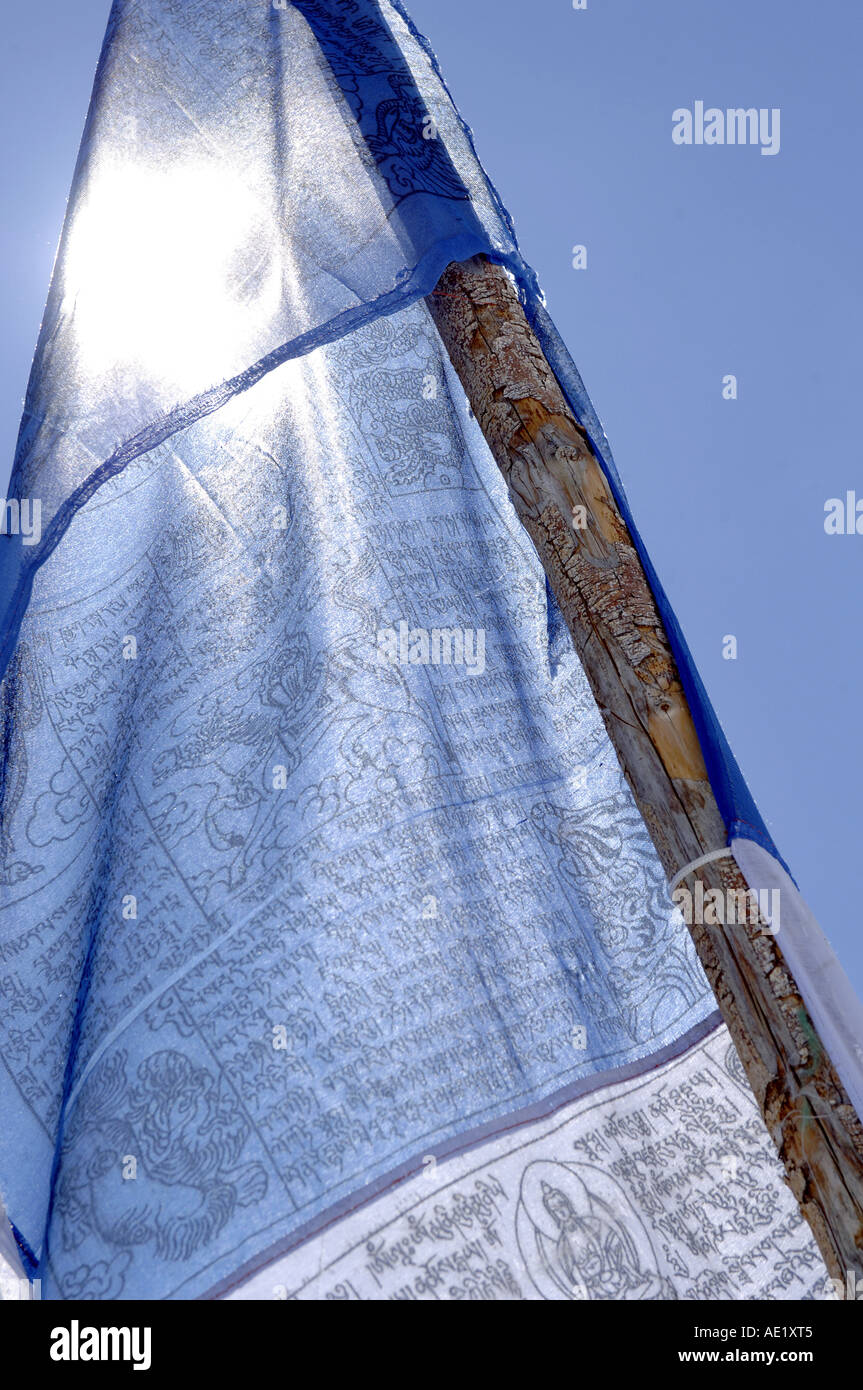 Flutter Board High Resolution Stock Photography and Images - Alamy