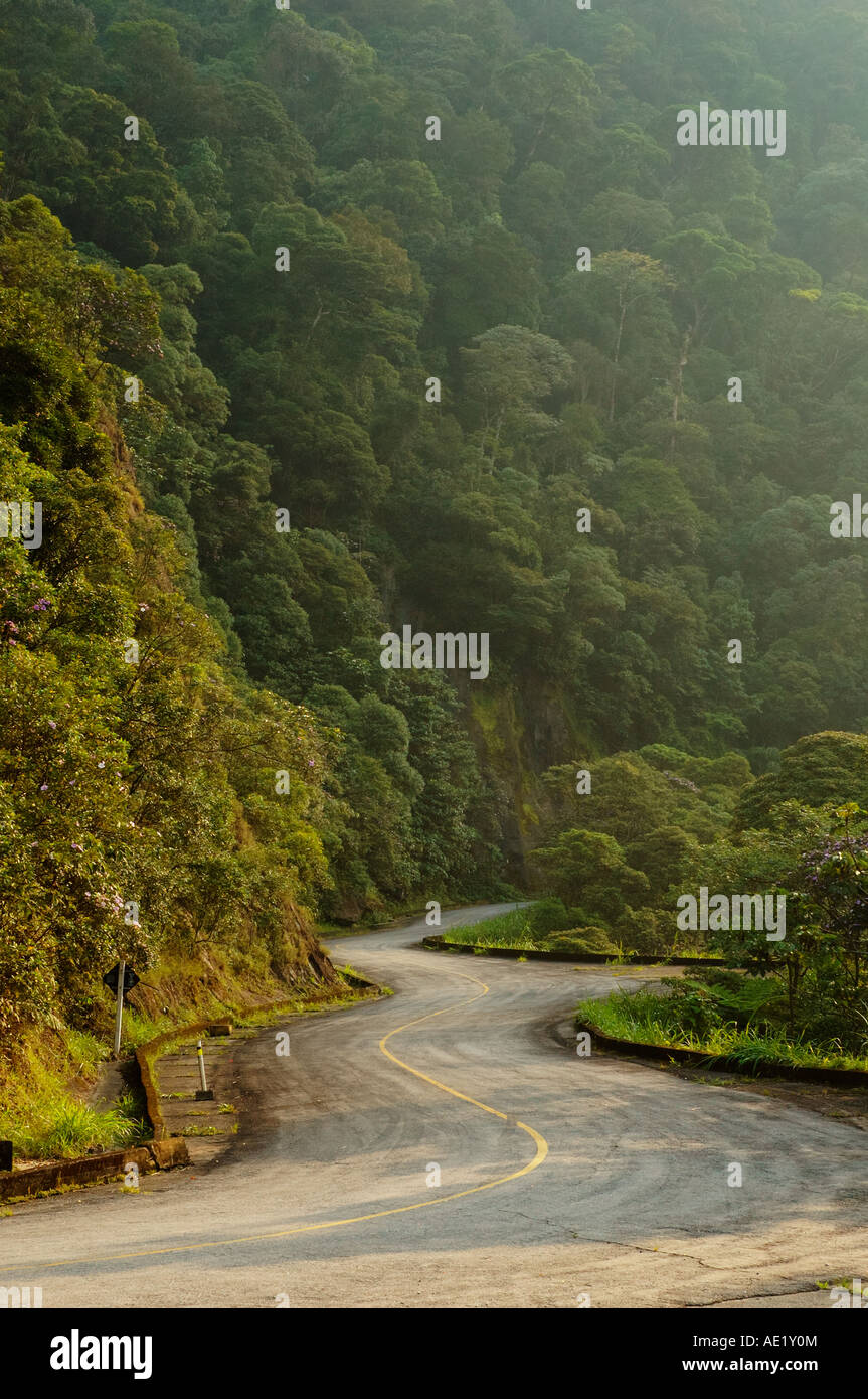 South american jungle road hi-res stock photography and images - Alamy