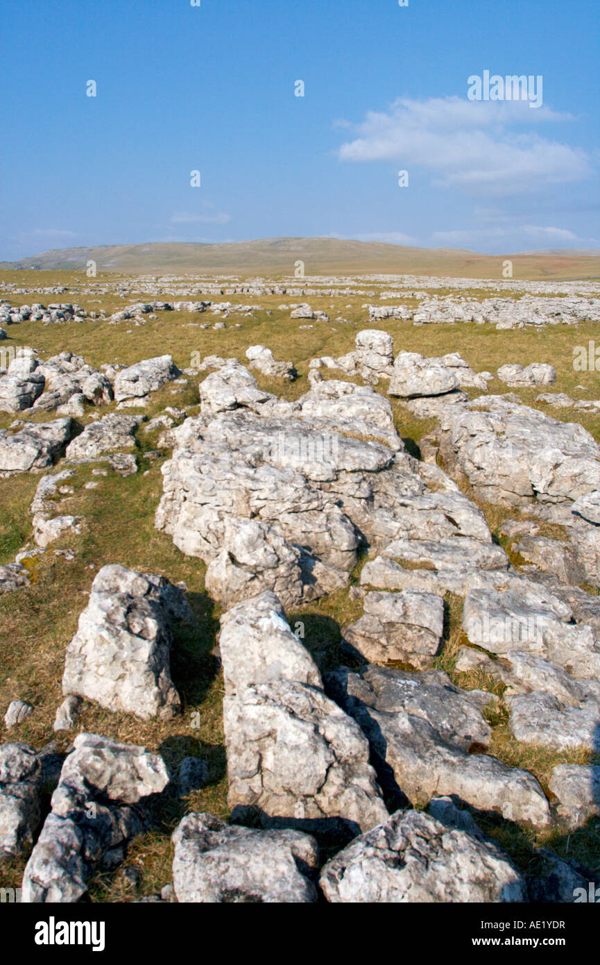 Limestone Pavement Malham Yorkshire Dales UK Stock Photo - Alamy