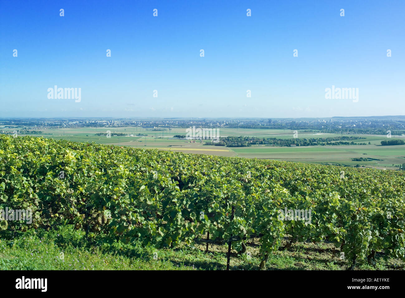 Vistas de reims hi-res stock photography and images - Alamy