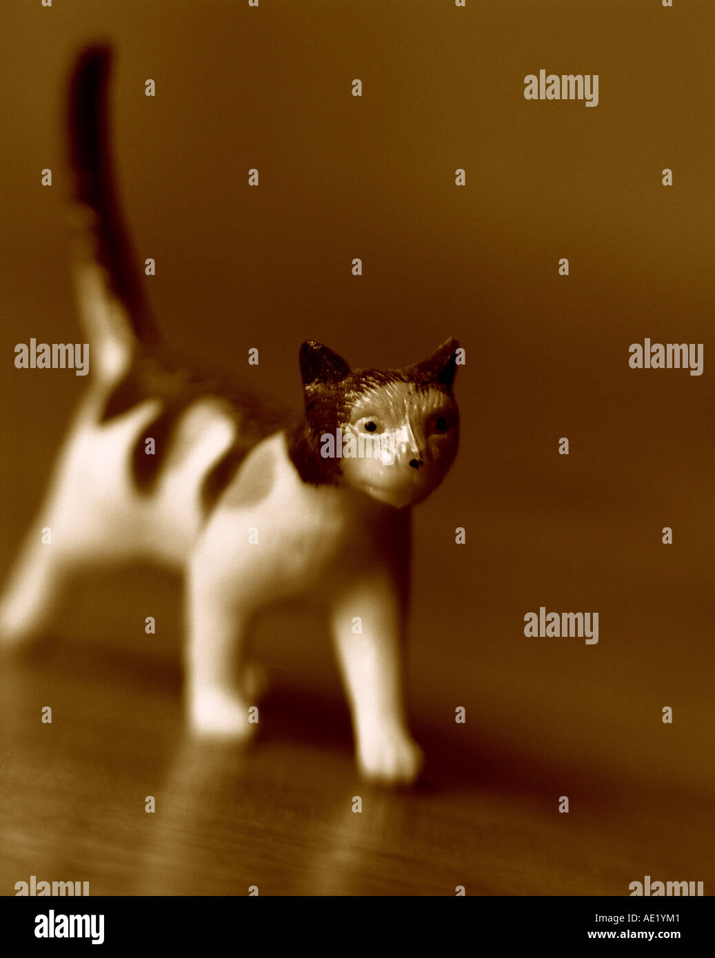 Sepia tone cat hi-res stock photography and images - Alamy