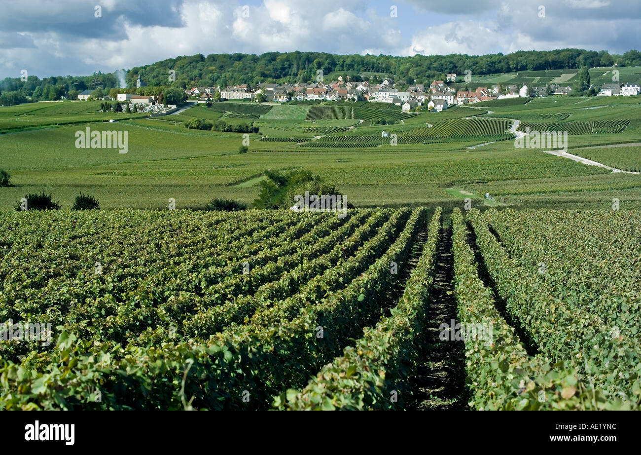 Vineyards and Hautvillers village in the distance, Champagne, France ...