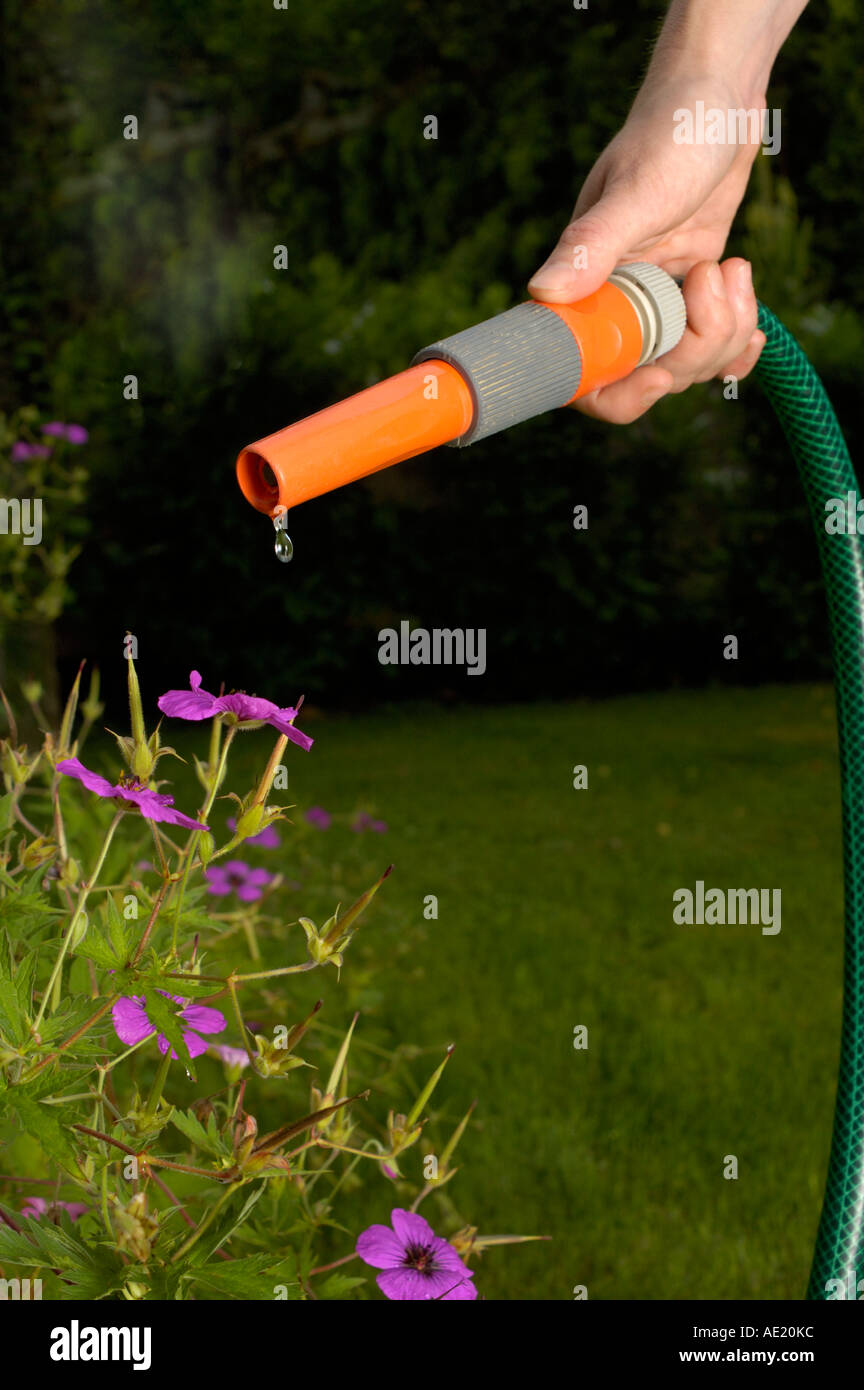 Hose nozzle drip water hi-res stock photography and images - Alamy