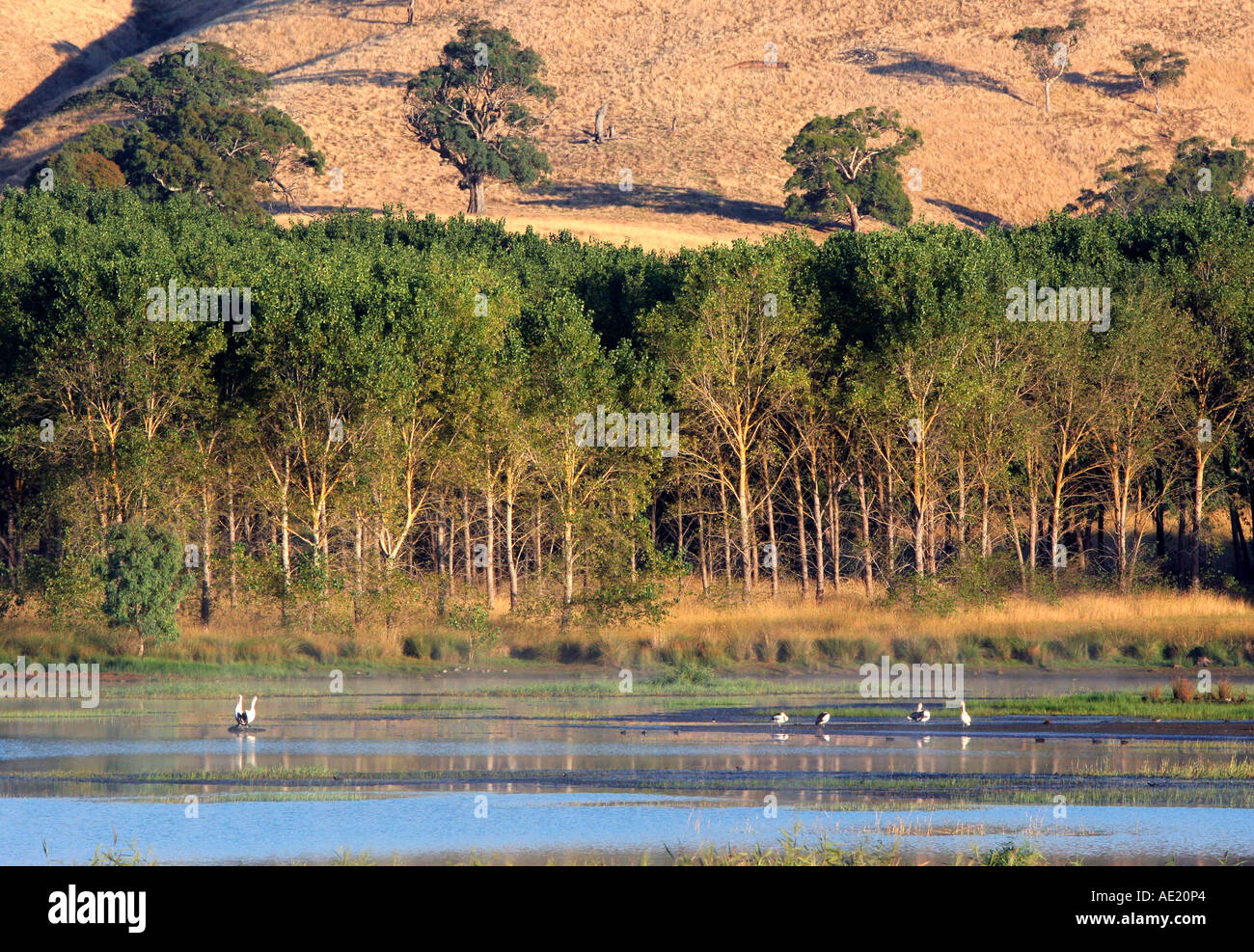 Myponga dam hi-res stock photography and images - Alamy