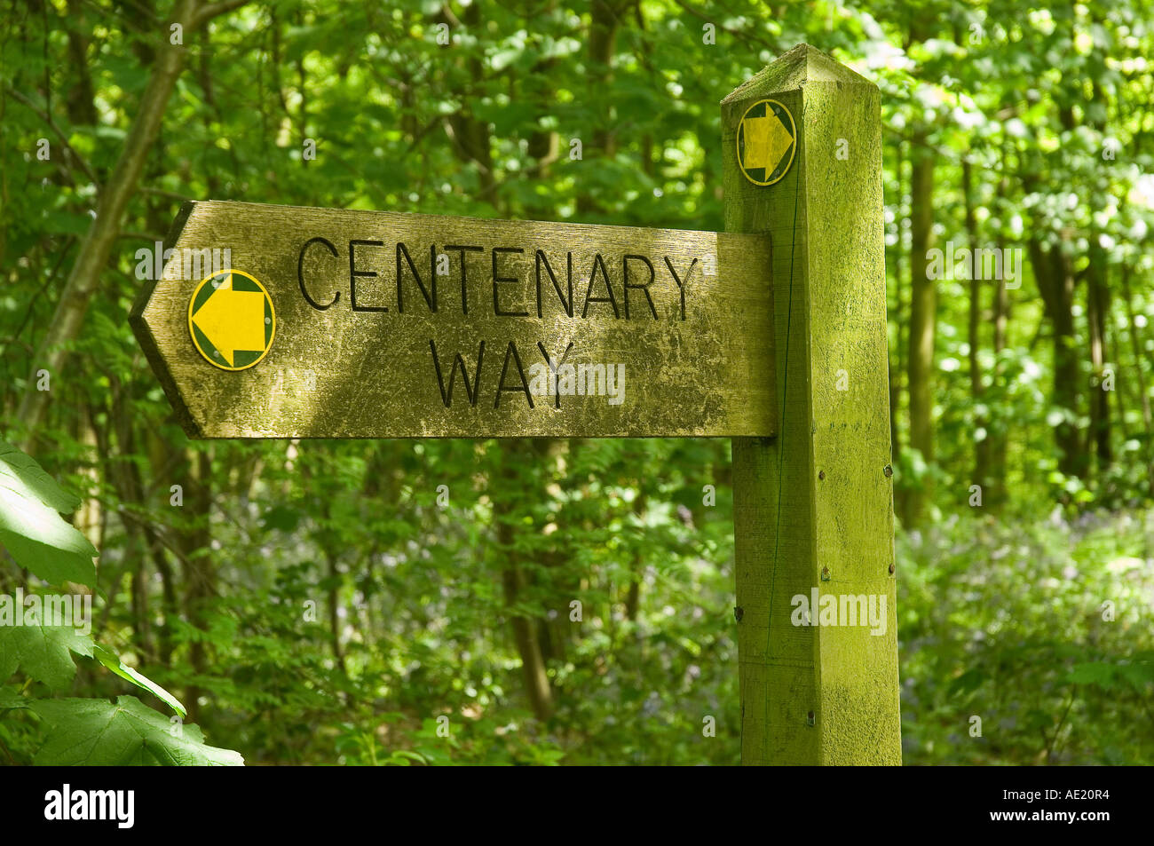 Welburn yorkshire hi-res stock photography and images - Alamy