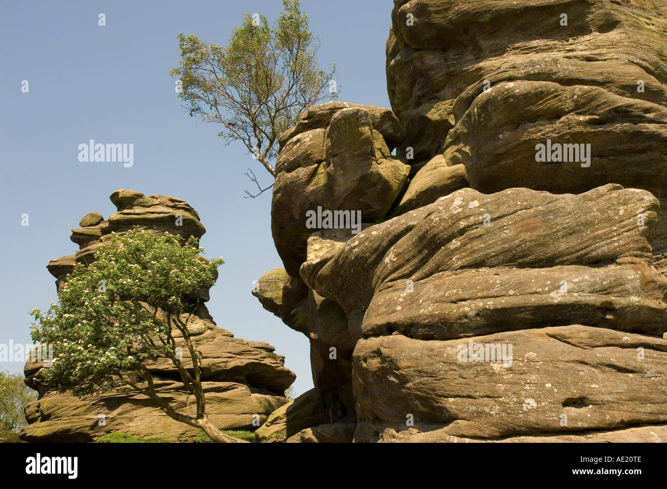 Brimham Rocks in summer Yorkshire Dales National Park Nidderdale North ...