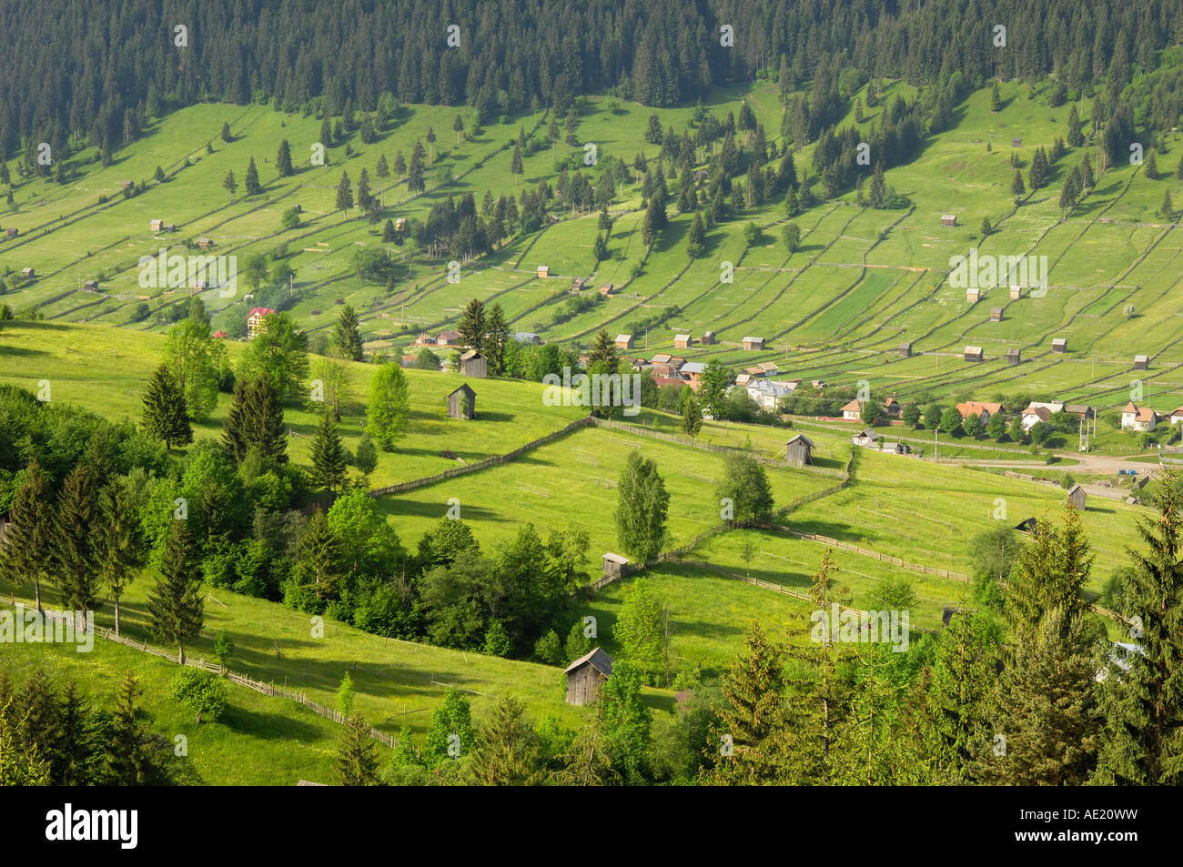 Moldovenesc hi-res stock photography and images - Alamy