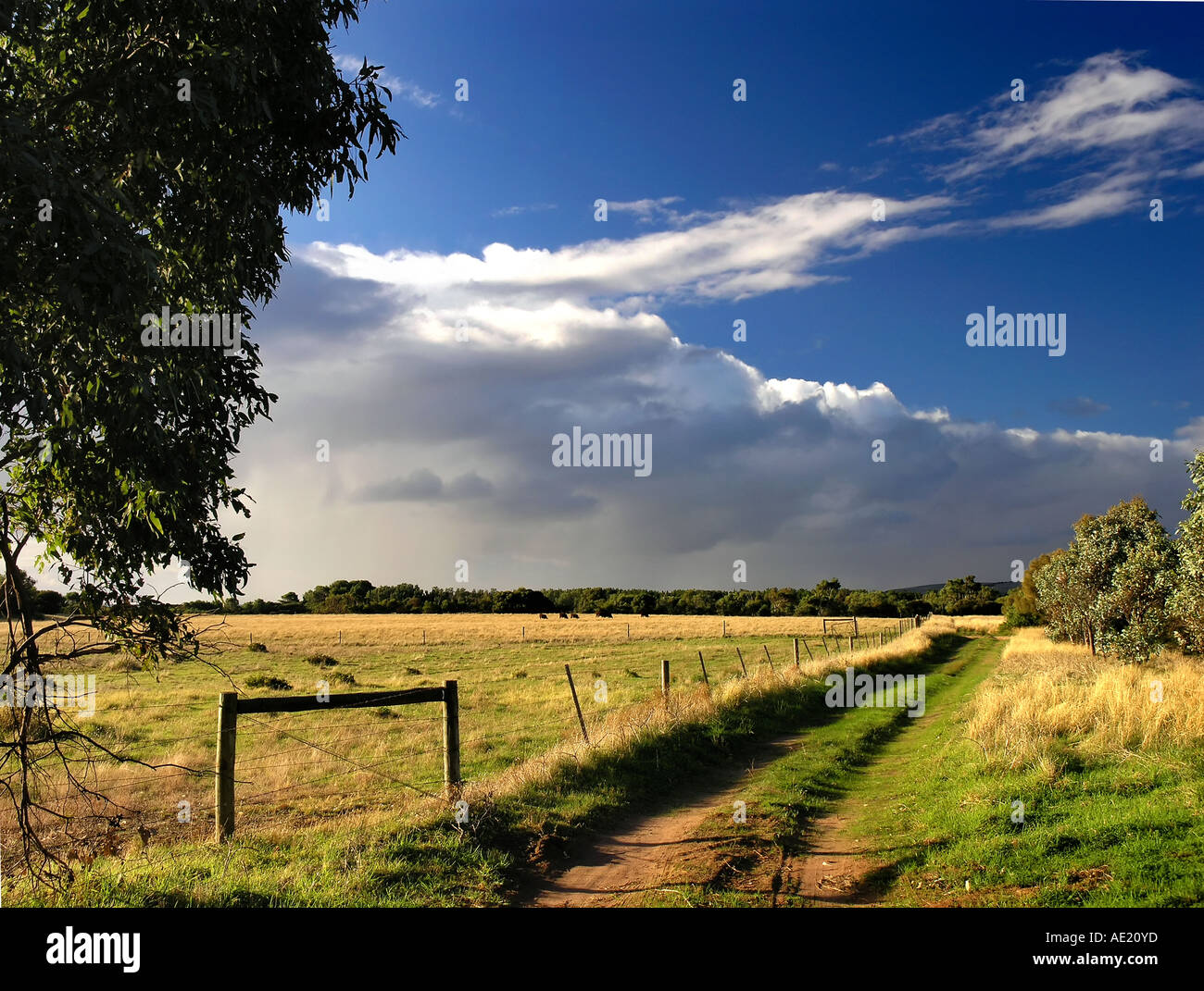 Fenceline track hi-res stock photography and images - Alamy