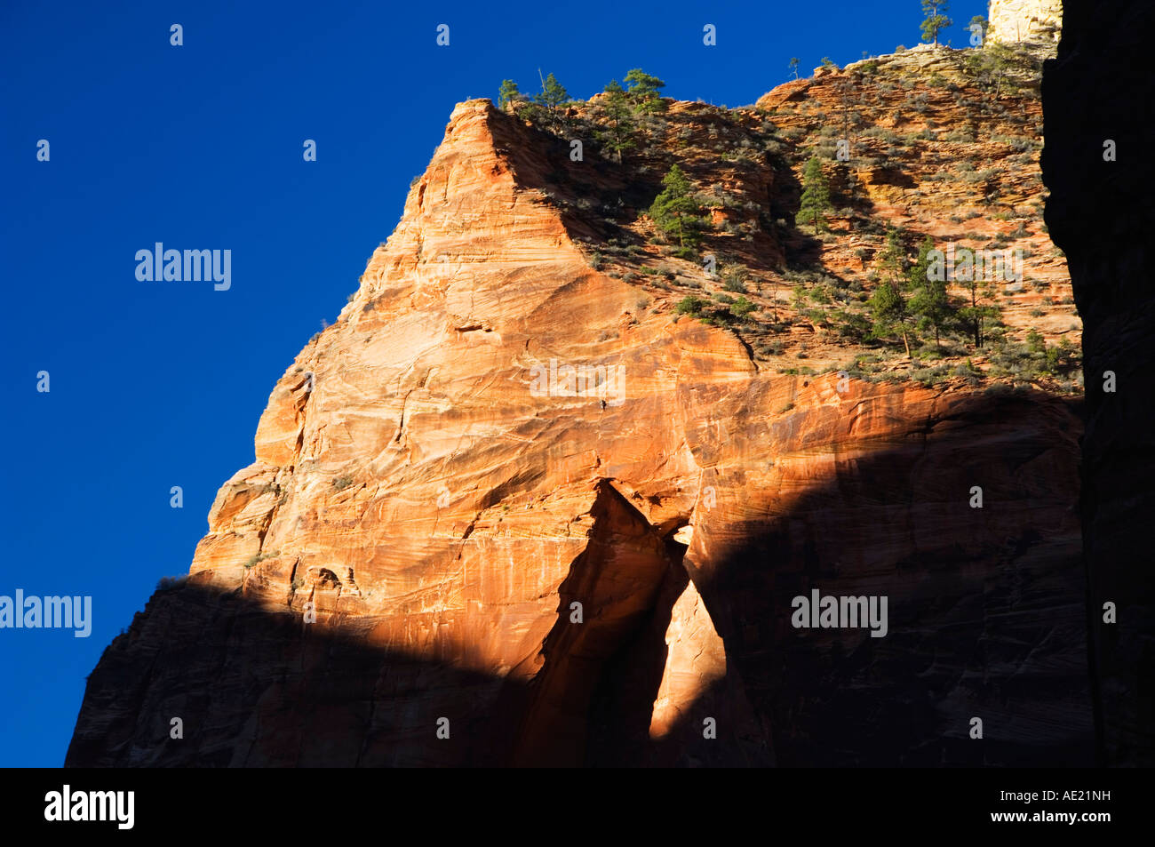USA Utah Zion National Park rock climbing Stock Photo - Alamy