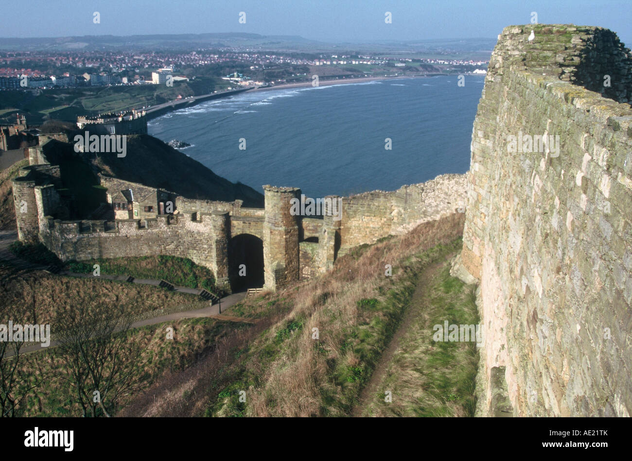 Curatin hi-res stock photography and images - Alamy