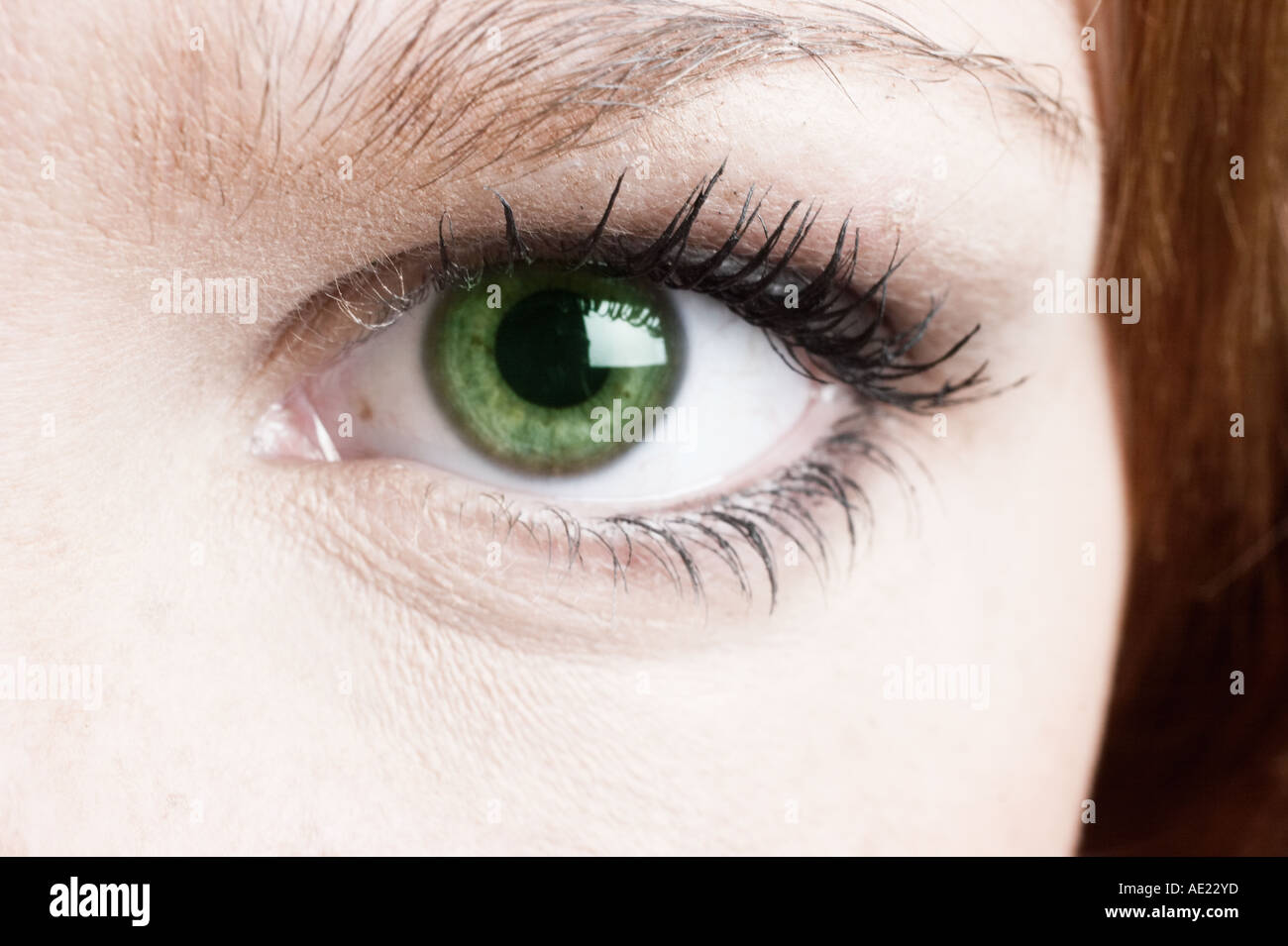 Green eye hi-res stock photography and images - Alamy
