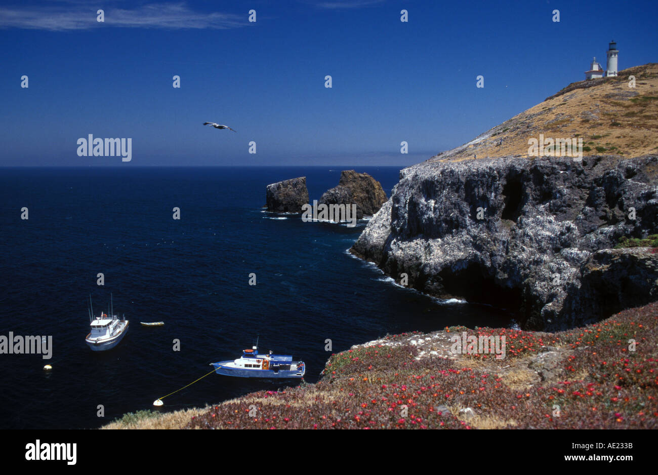 California Channel Islands National Park Anacapa Island Landing Cove ...