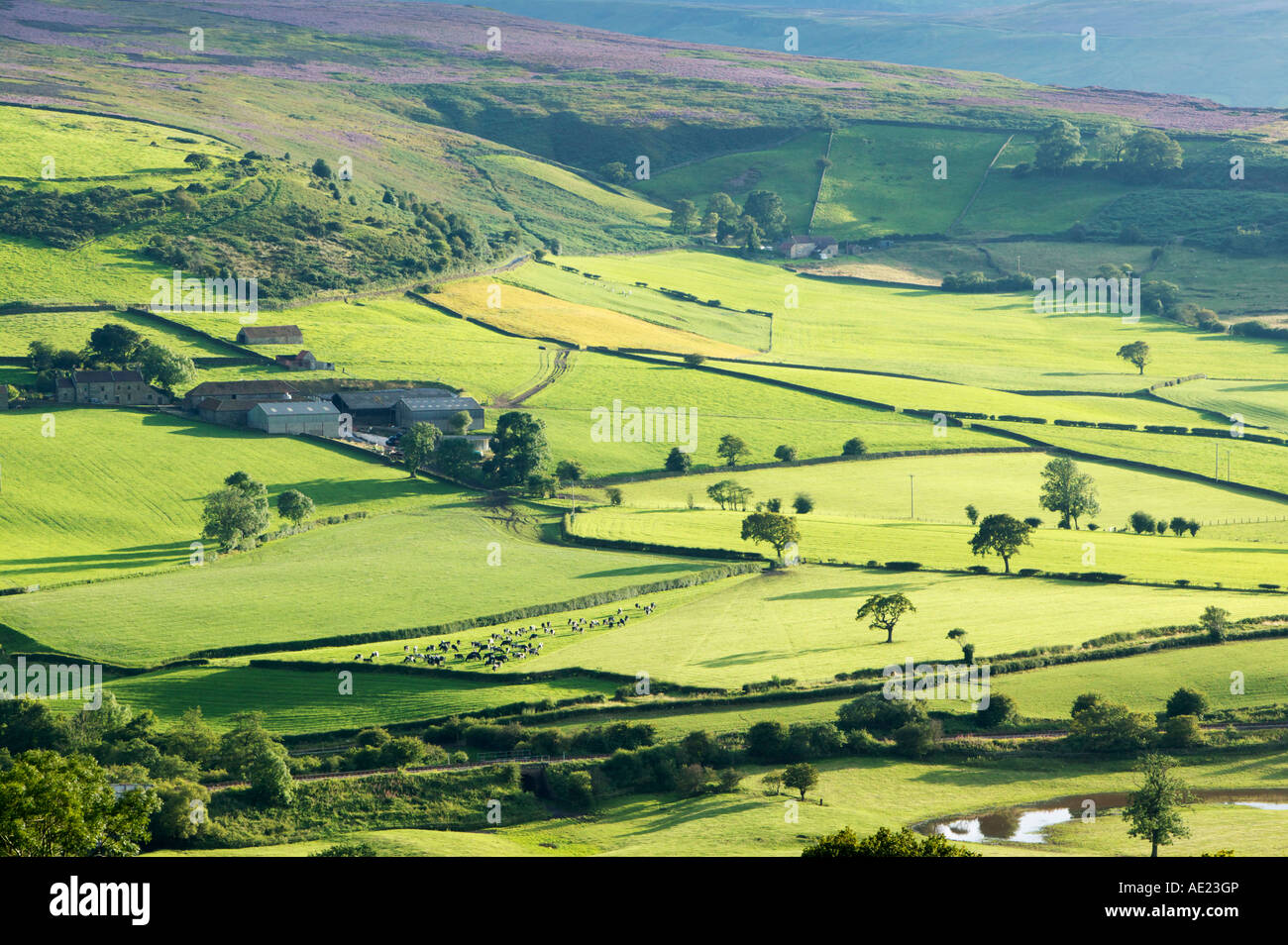 Danby dale hi-res stock photography and images - Alamy