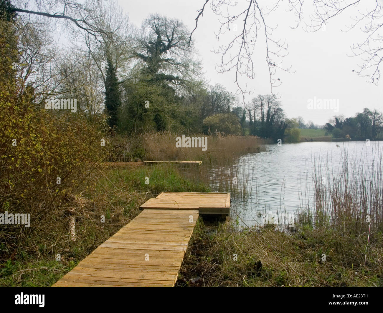 Fishing platforms and sedges on the lakeside at Stanton Fitzwarren near ...