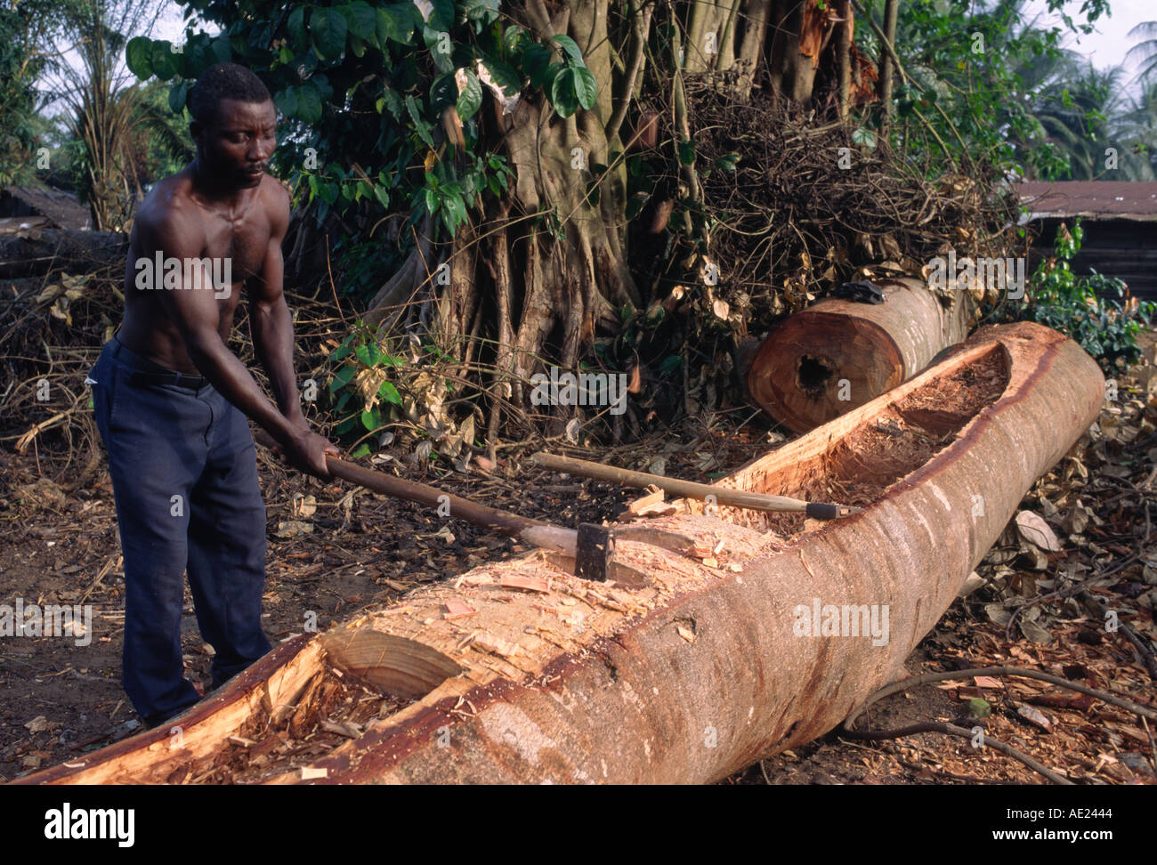 A fisherman constructs a dugout canoe from a solid log in a small ...
