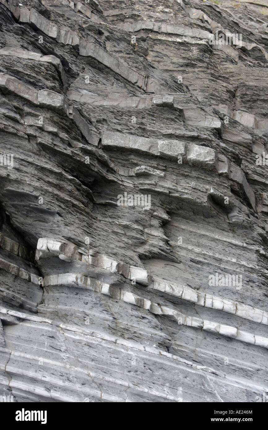 Layers of mudstone and quartz in the cliffs at Aberystwyth, Wales Stock ...